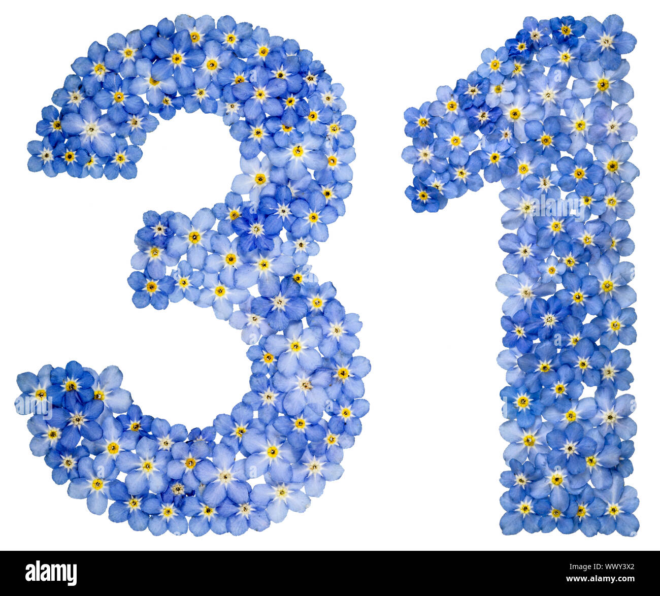 Arabic numeral 31, thirty one, from blue forget-me-not flowers Stock ...
