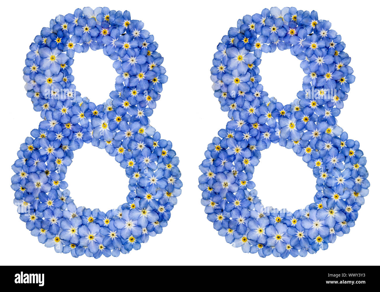 Arabic numeral 88, eighty eight, from blue forget-me-not flowers Stock ...