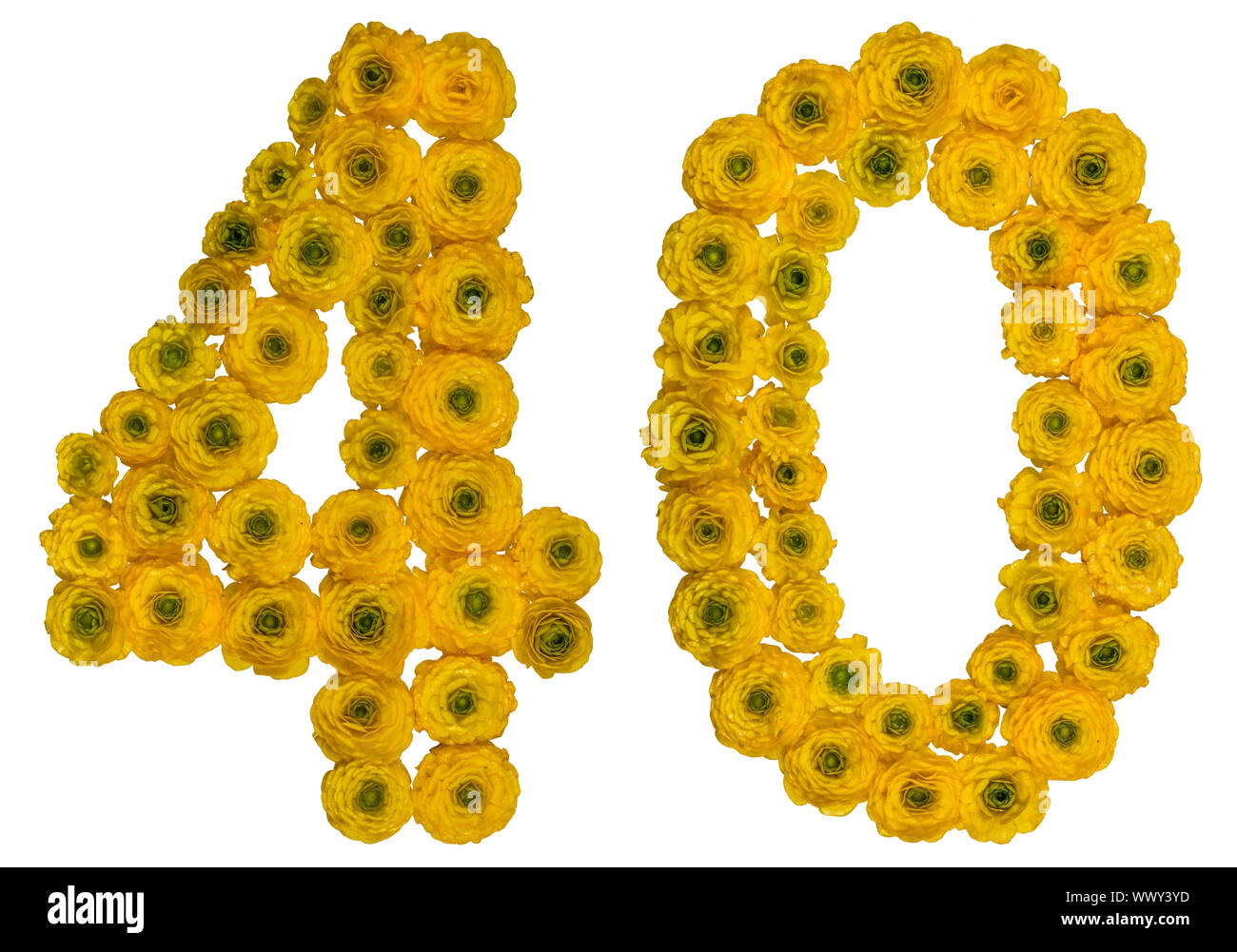 Arabic numeral 40, forty, from yellow flowers of buttercup, isolated on ...
