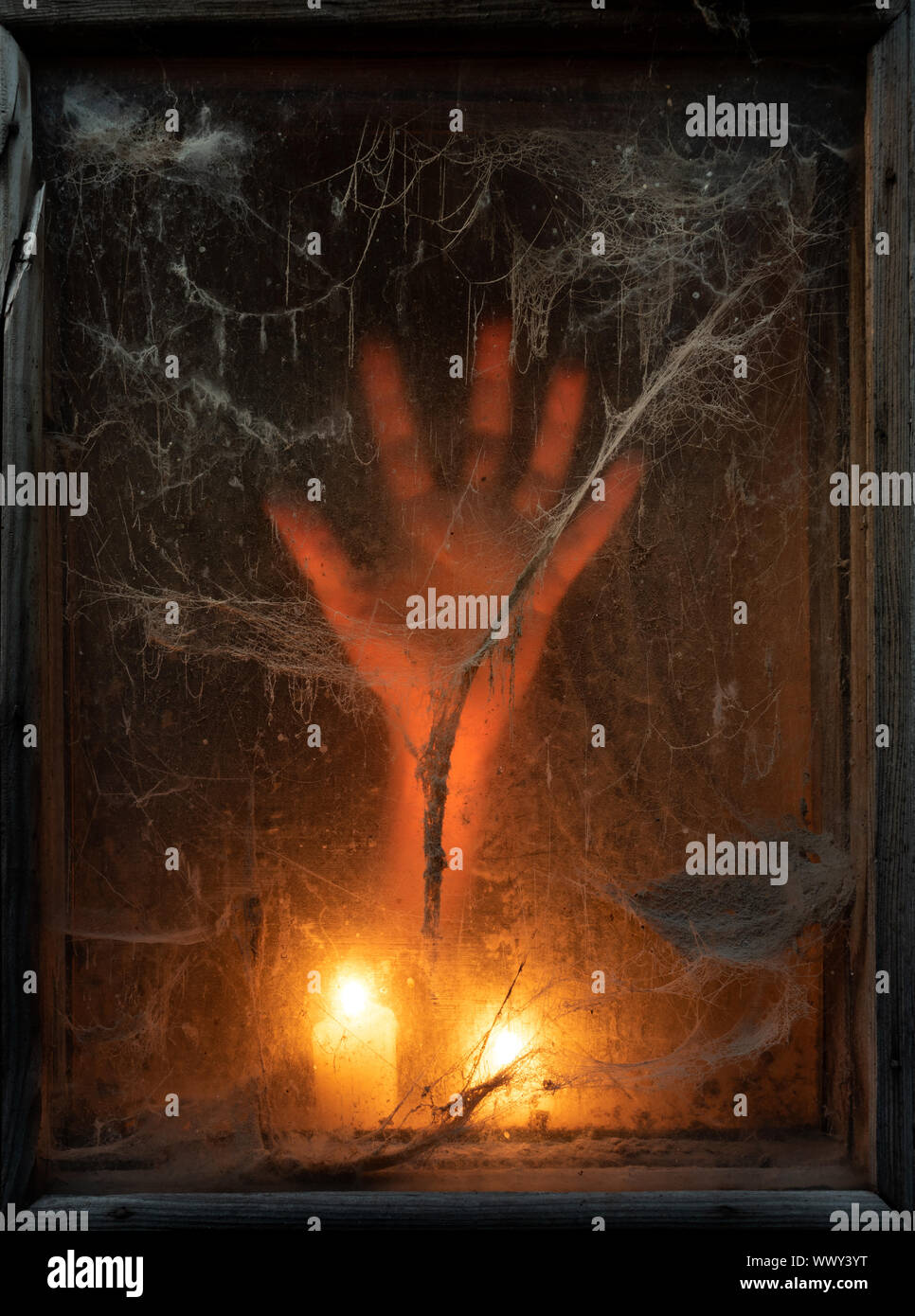 Scary halloween background with creepy old spider web (cobwebs) in a ...