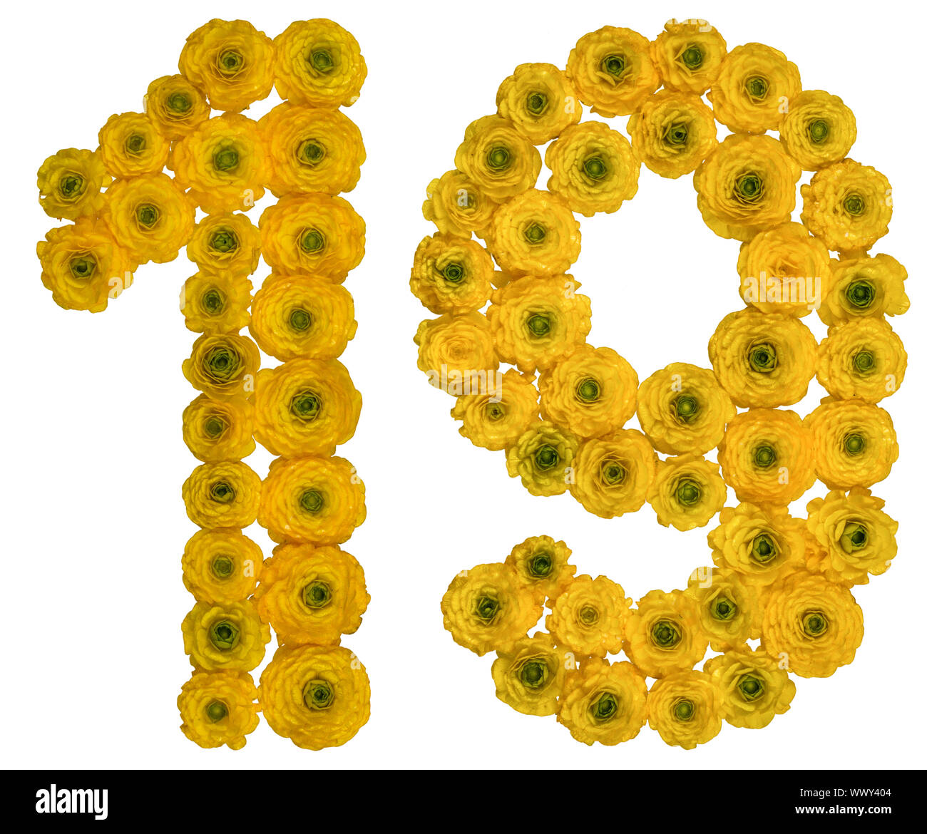 Arabic numeral 19, nineteen, from yellow flowers of buttercup, isolated ...