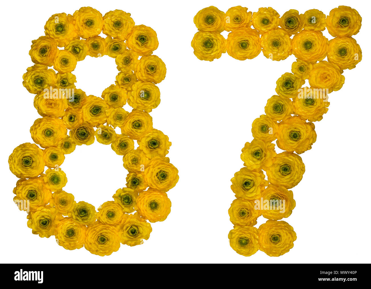 Arabic numeral 87, eighty seven, from yellow flowers of buttercup ...