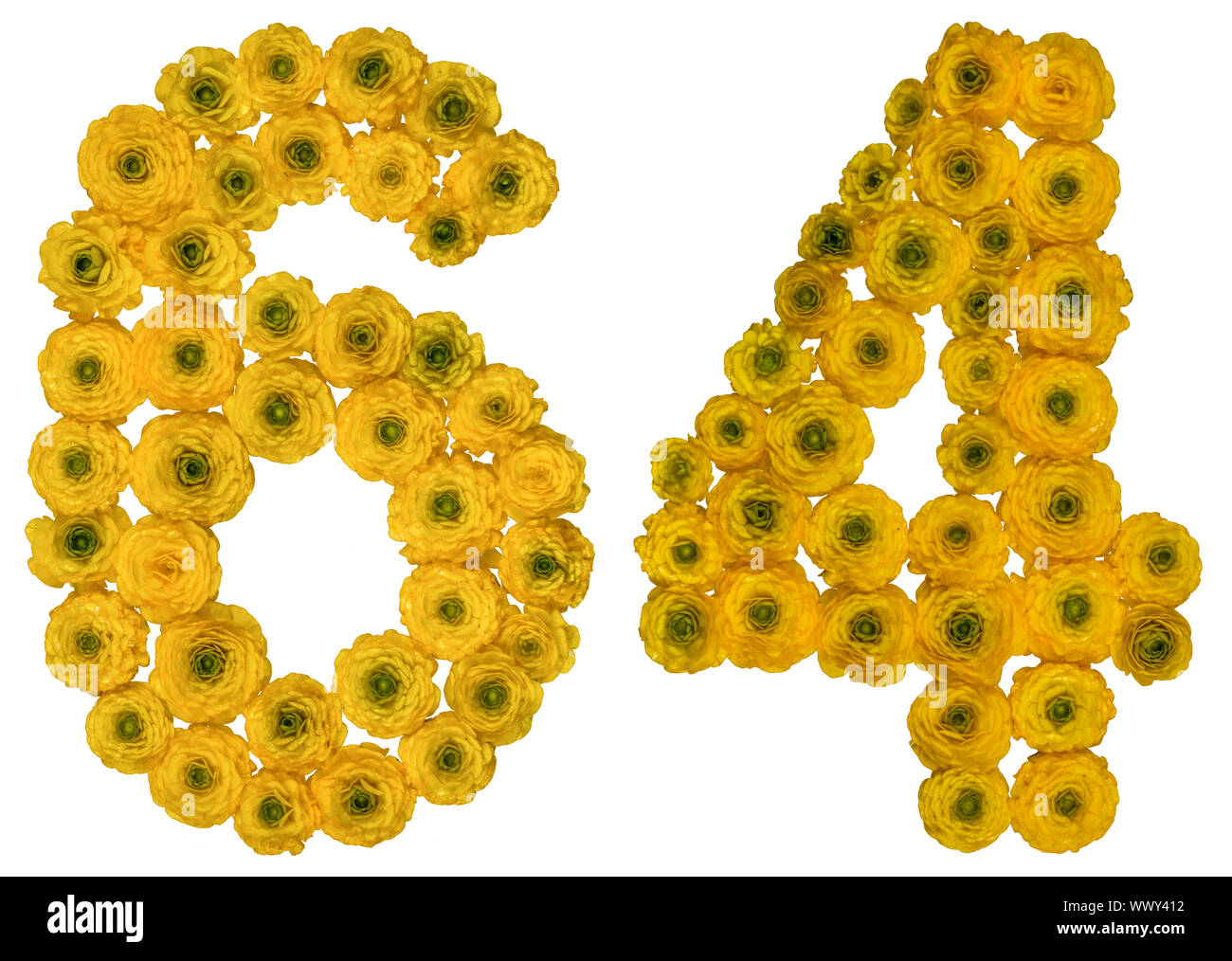 Arabic numeral 64, sixty four, from yellow flowers of buttercup ...