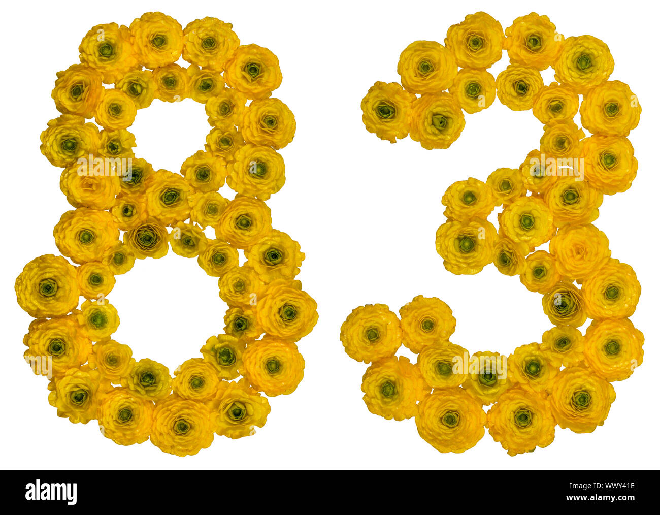 Arabic numeral 83, eighty three, from yellow flowers of buttercup ...