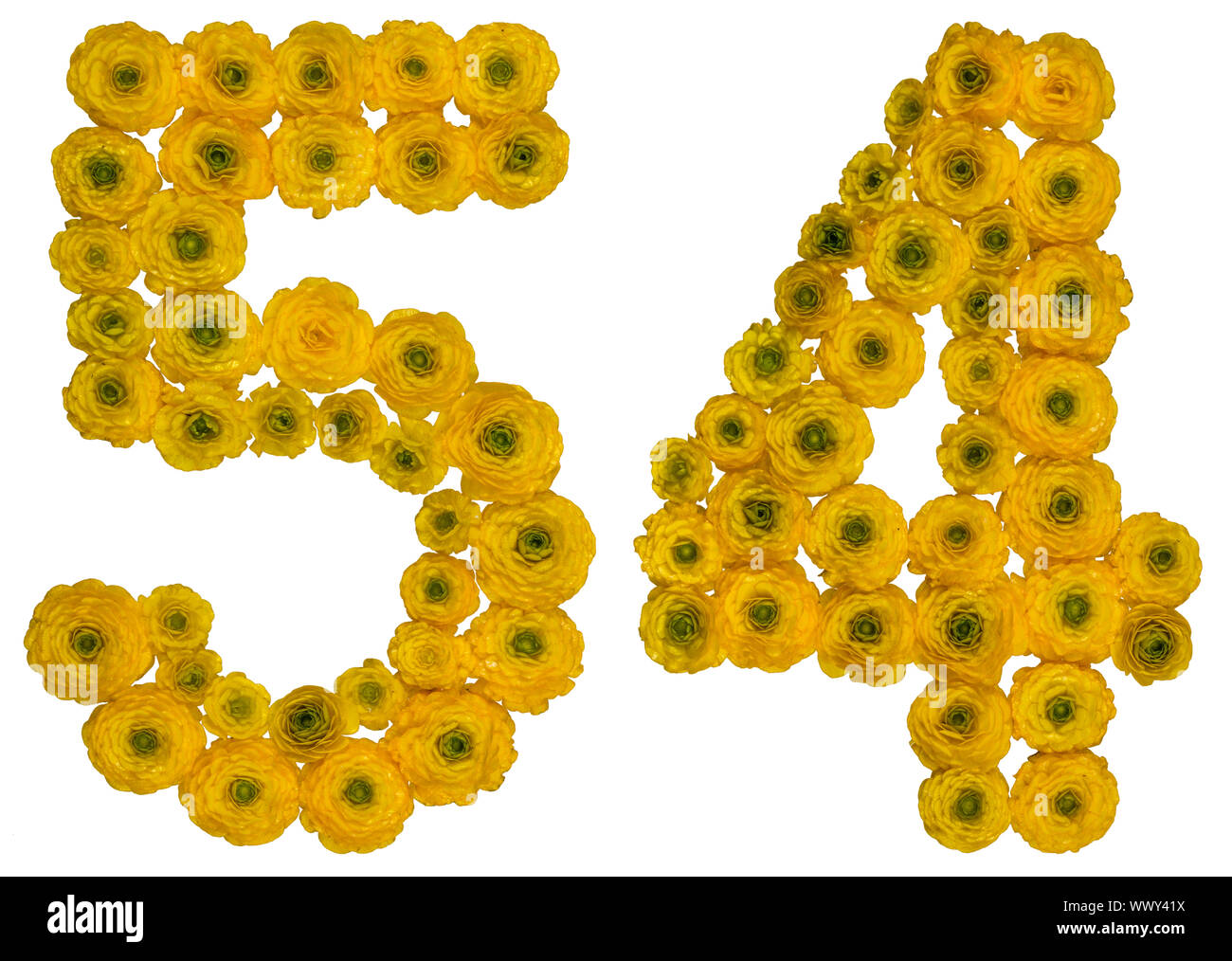 Arabic numeral 54, fifty four, from yellow flowers of buttercup ...