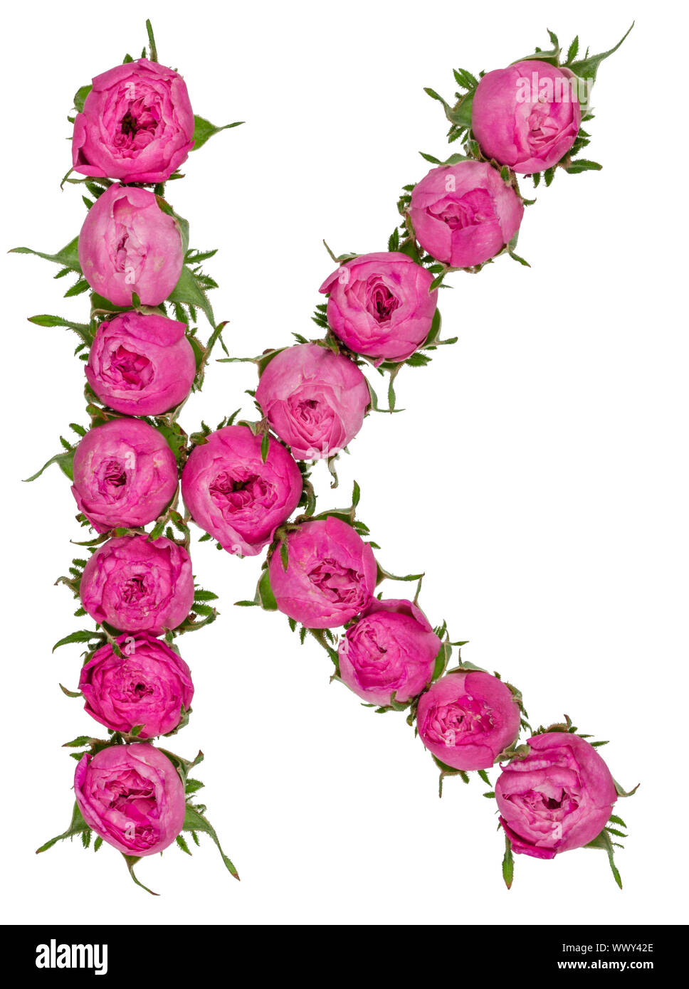 K Letter In Rose