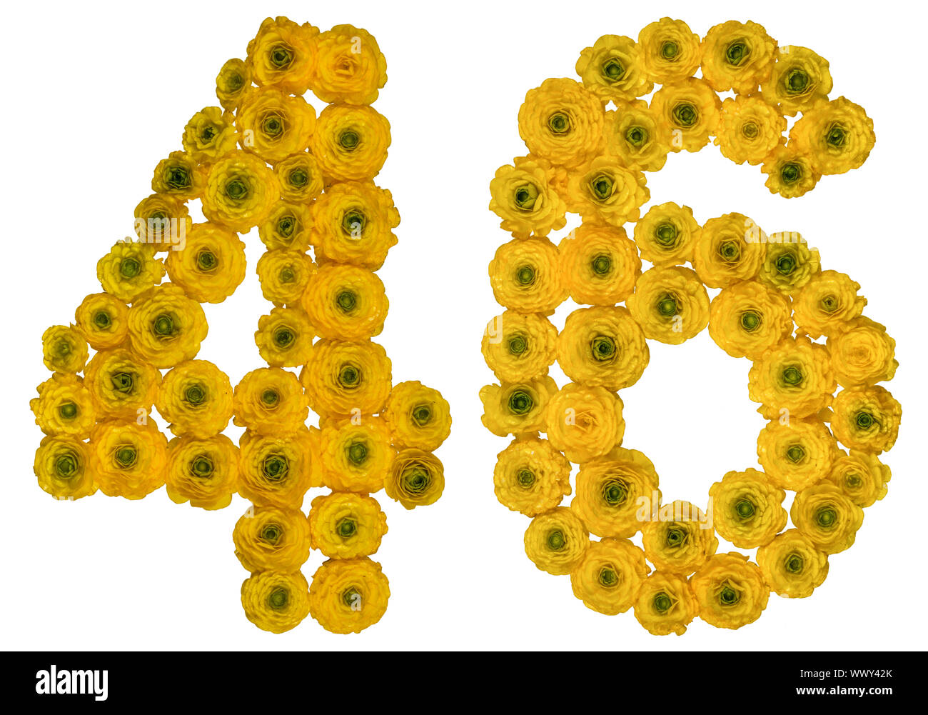 Arabic numeral 46, forty six, from yellow flowers of buttercup ...