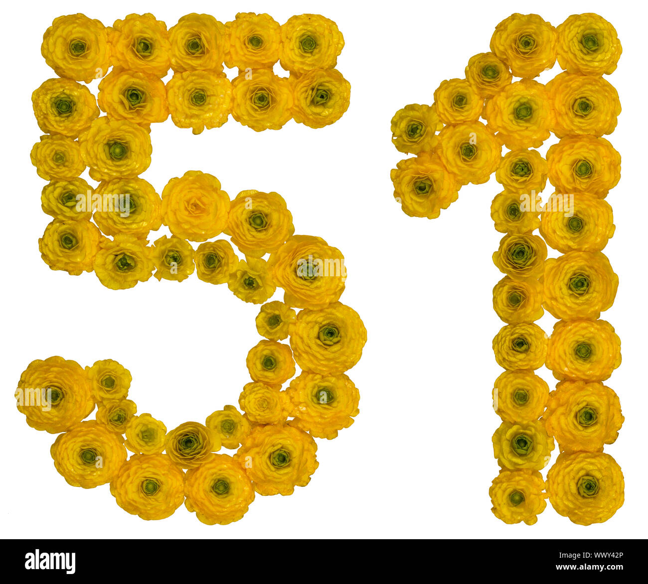 Arabic numeral 51, fifty one, from yellow flowers of buttercup ...