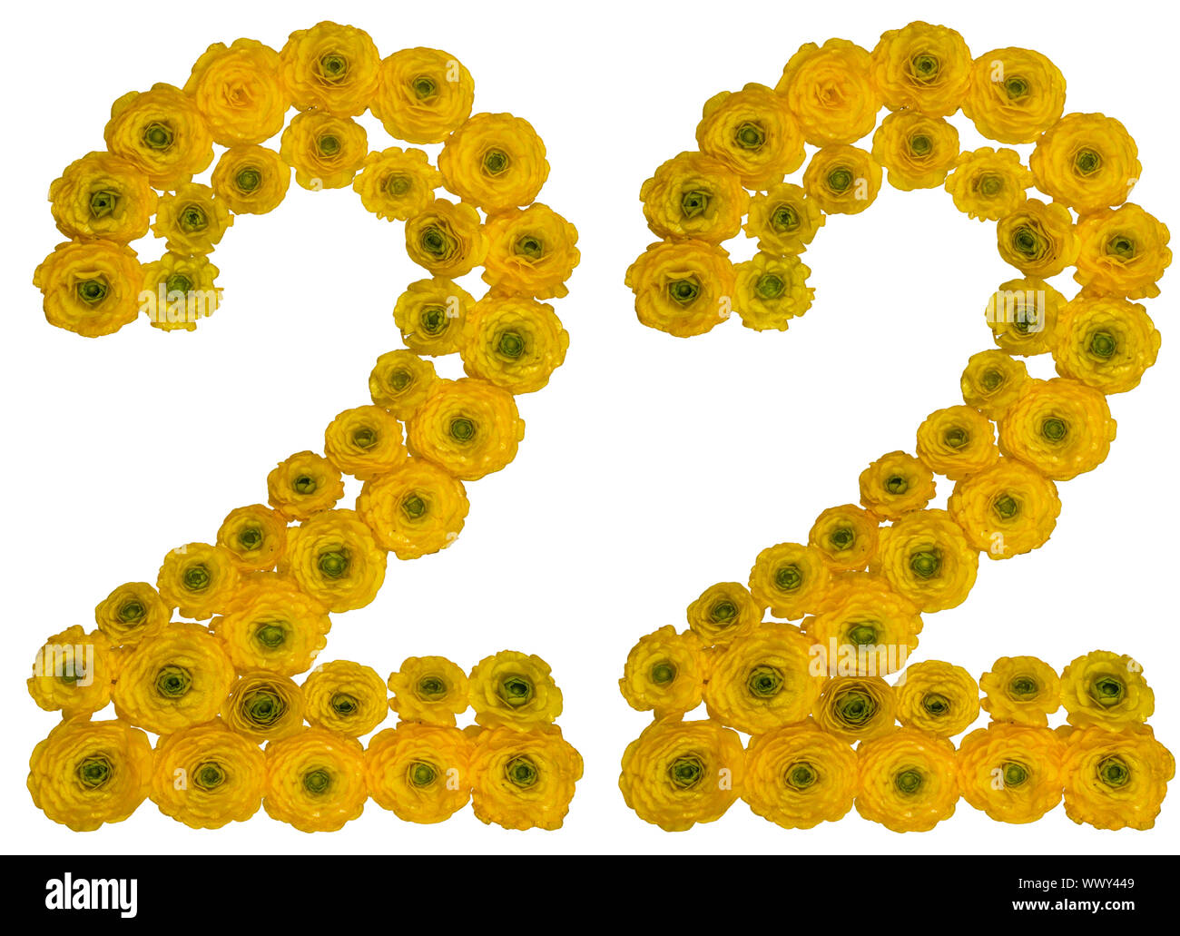 Arabic numeral 22, twenty two, from yellow flowers of buttercup ...