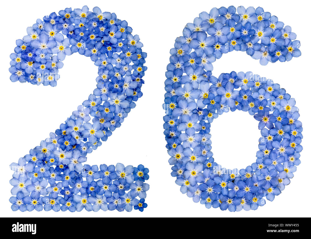 Arabic numeral 26, twenty six, from blue forget-me-not flowers Stock ...
