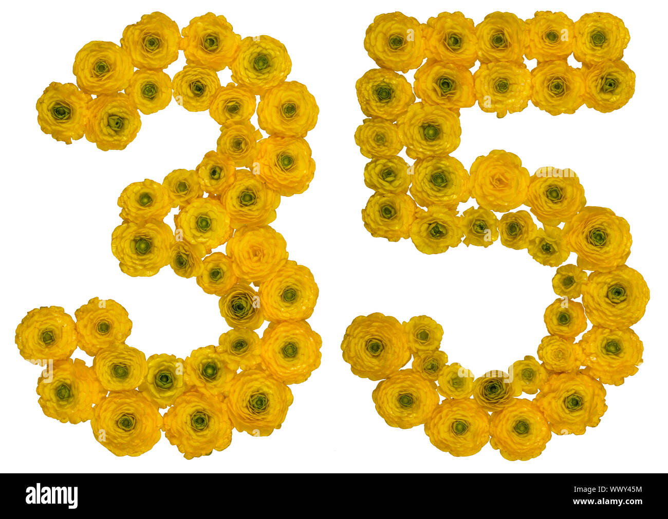 Arabic numeral 35, thirty five, from yellow flowers of buttercup ...
