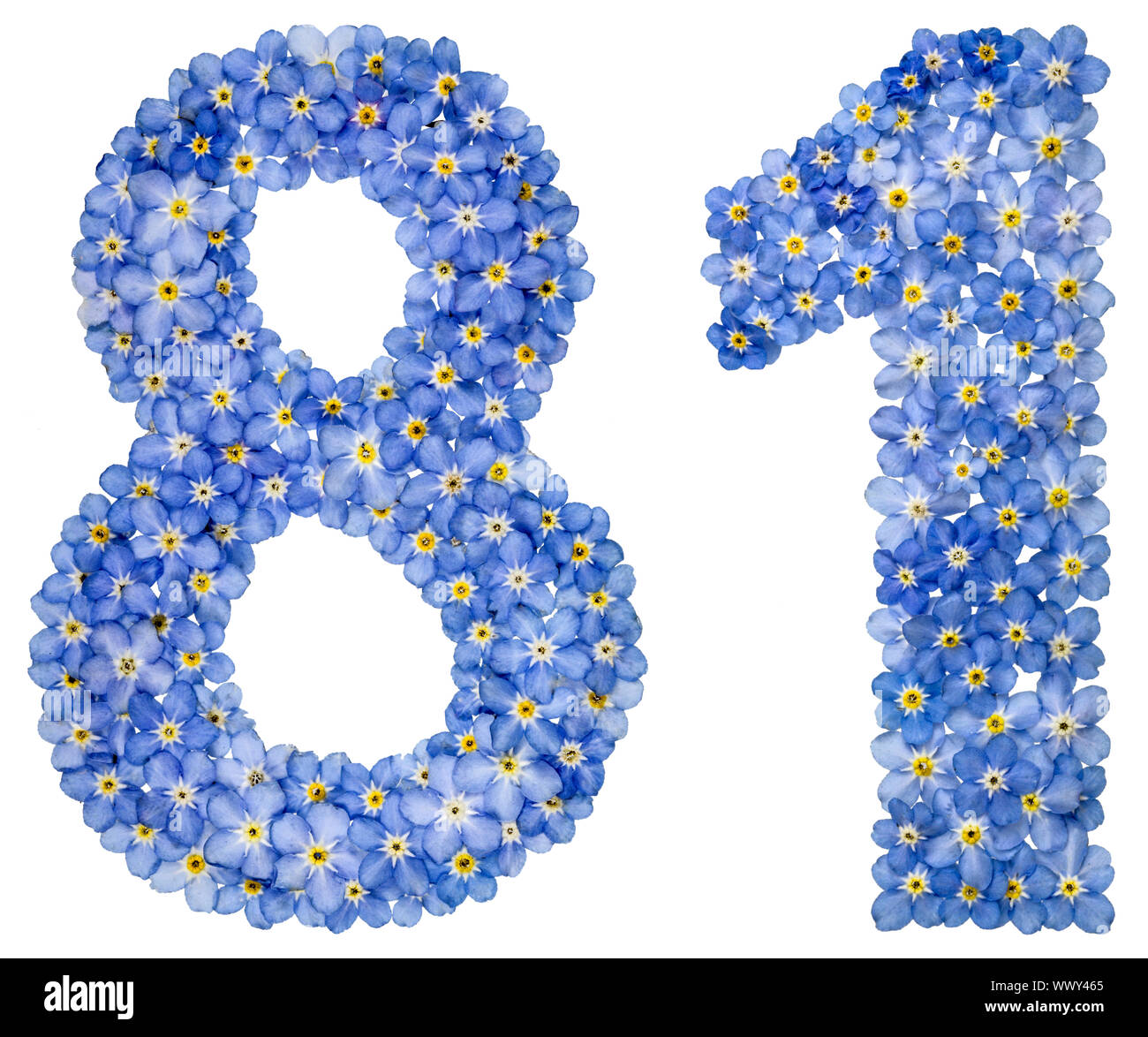 Arabic numeral 81, eighty one, from blue forget-me-not flowers Stock ...