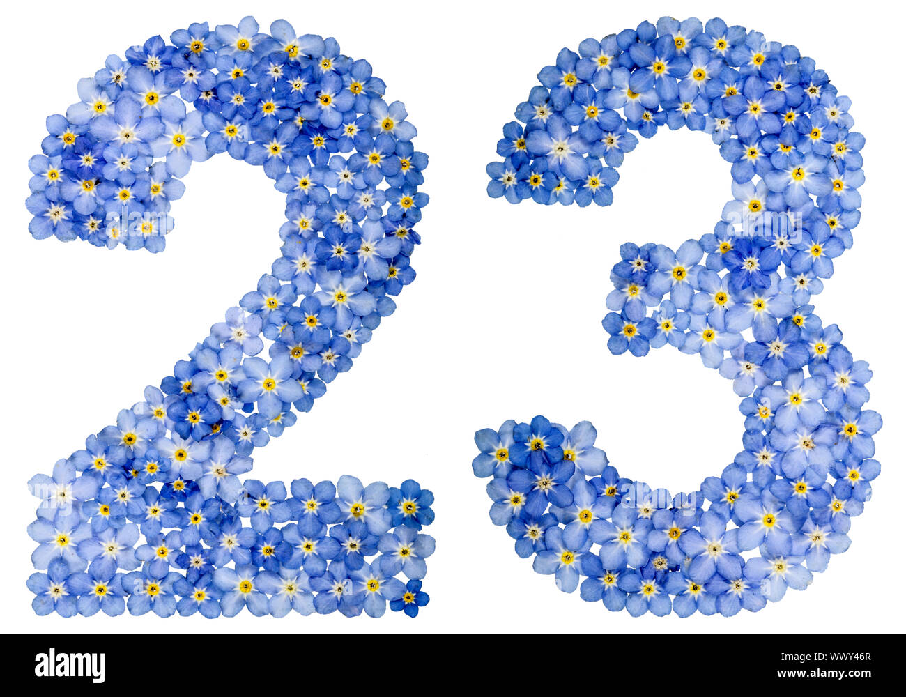 Arabic numeral 23, twenty three, from blue forget-me-not flowers Stock ...