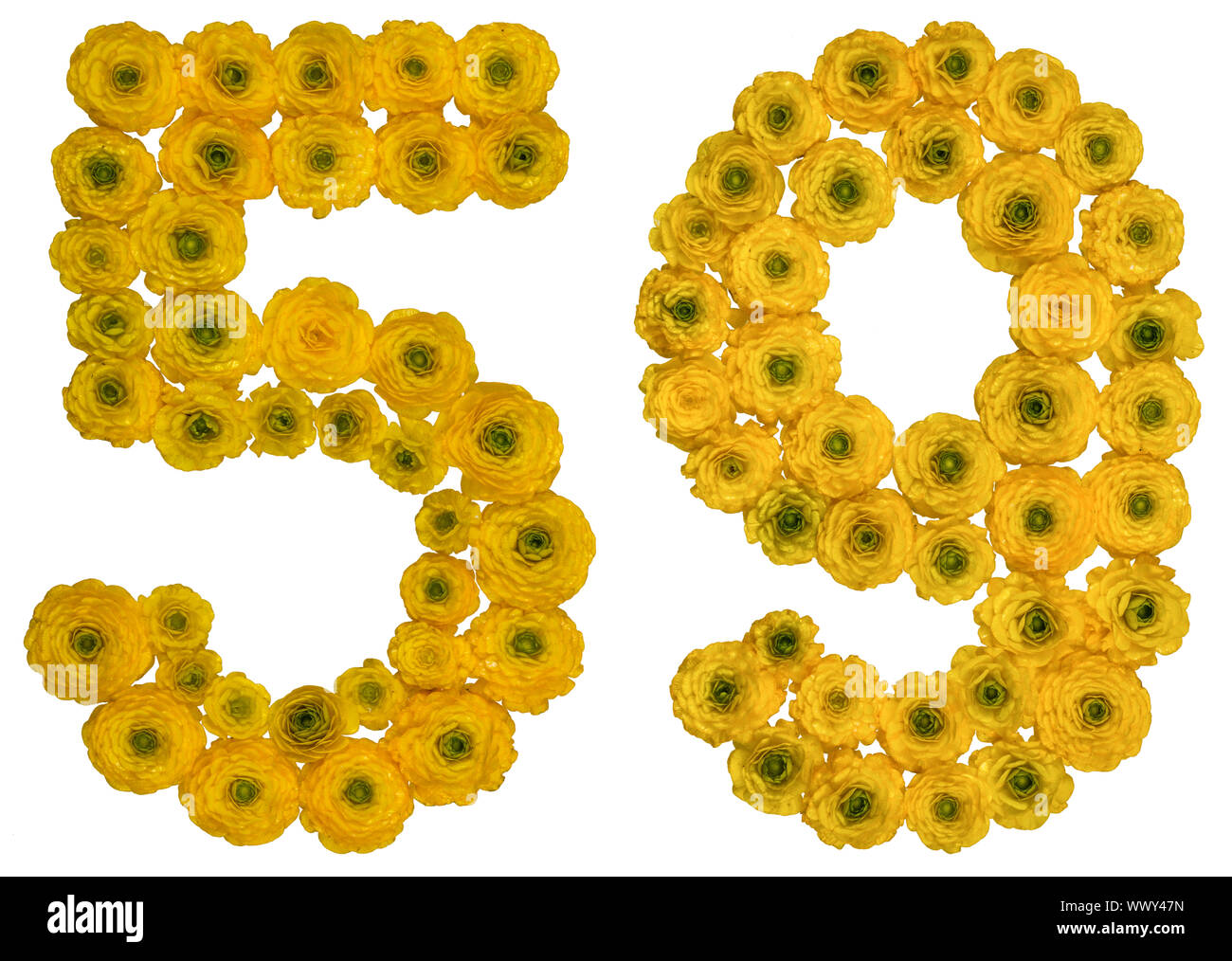 Arabic numeral 59, fifty nine, from yellow flowers of buttercup ...