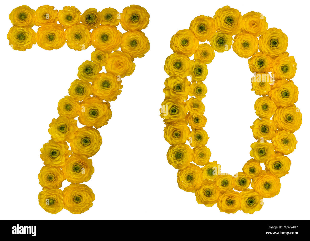 Arabic numeral 70, seventy, seven, from yellow flowers of buttercup ...