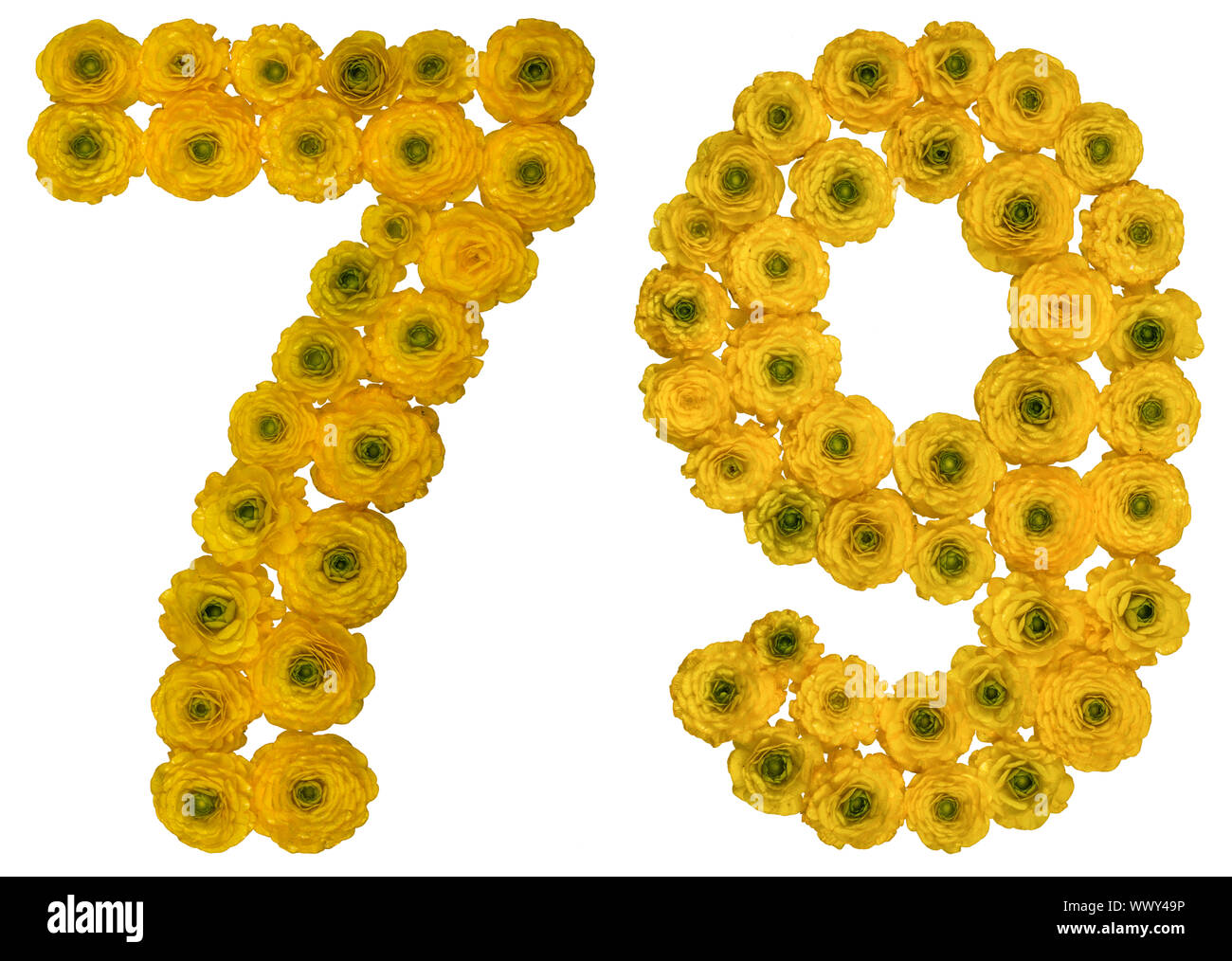 Arabic numeral 79, seventy nine, from yellow flowers of buttercup ...