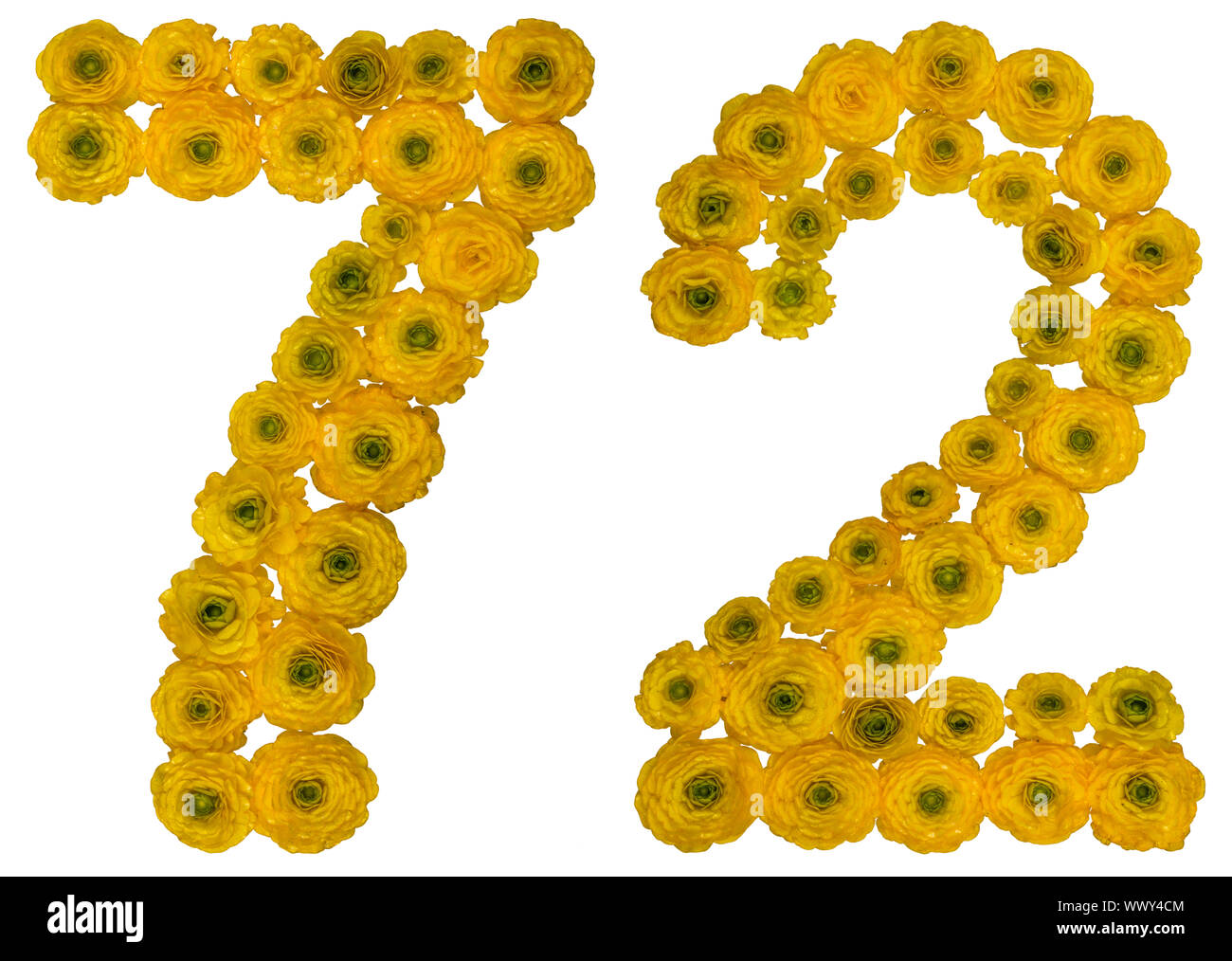 Arabic numeral 72, seventy two, from yellow flowers of buttercup ...