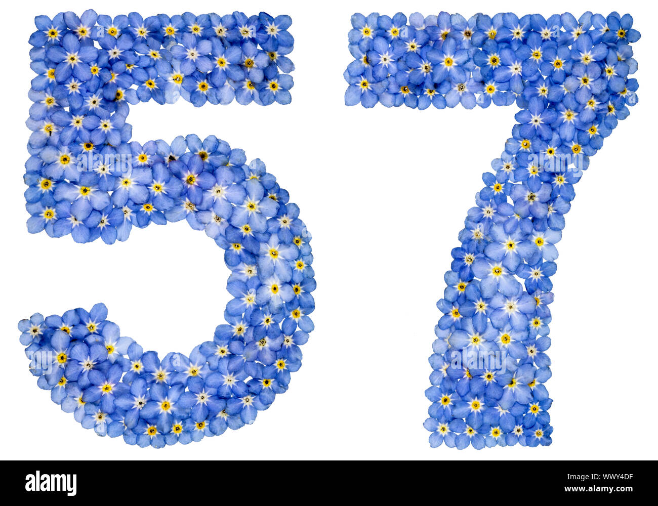 Arabic numeral 57, fifty seven, from blue forget-me-not flowers Stock ...