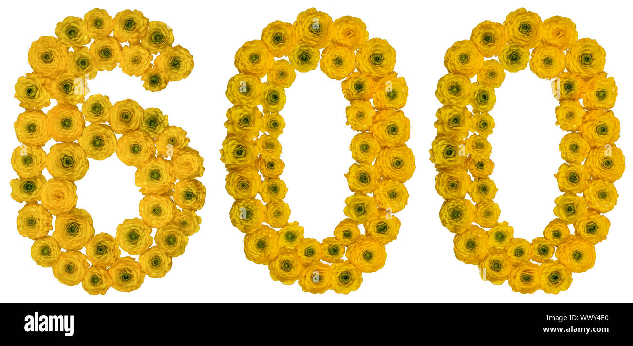 Arabic numeral 600, six hundred, from yellow flowers of buttercup ...