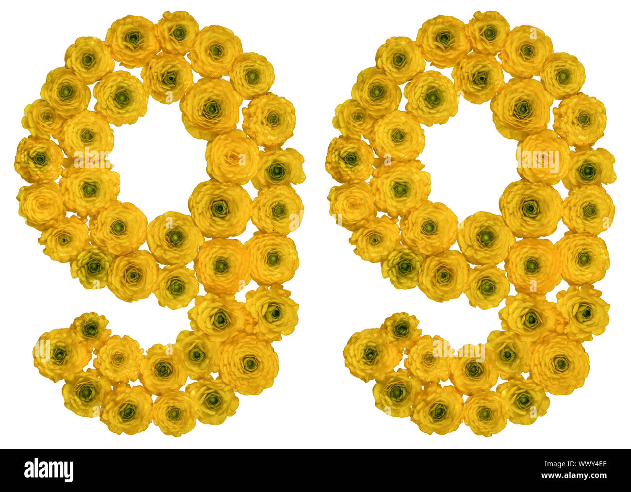 Arabic numeral 99, ninety nine, from yellow flowers of buttercup ...