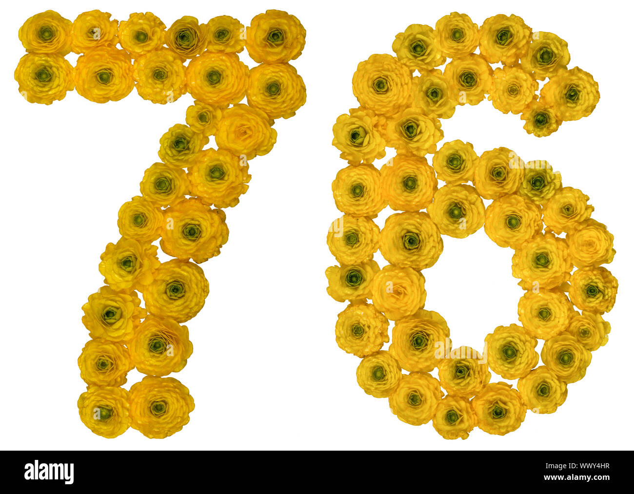 Arabic numeral 76, seventy six, from yellow flowers of buttercup ...