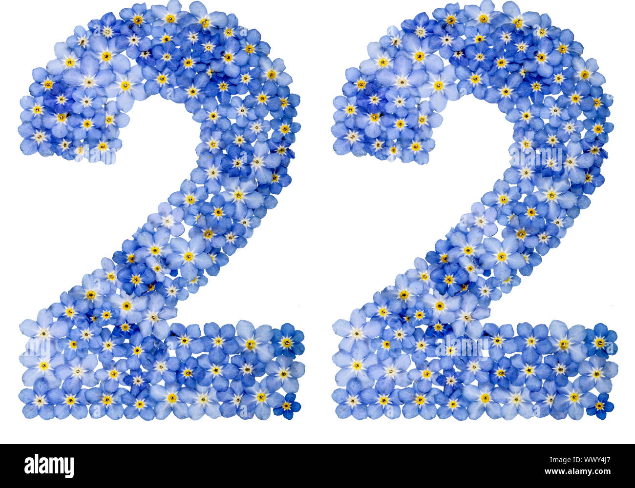 Arabic numeral 22, twenty two, from blue forget-me-not flowers Stock ...