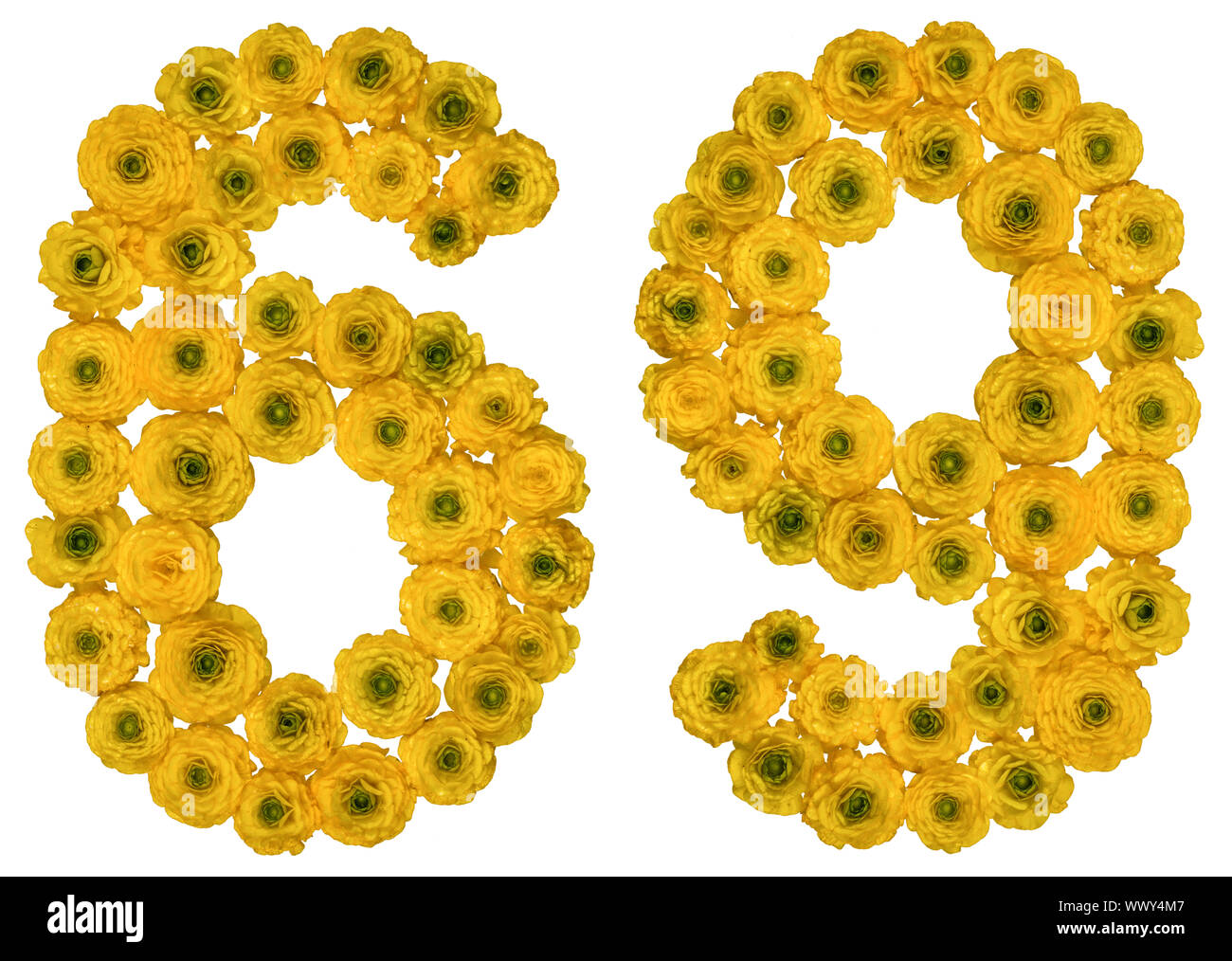Arabic numeral 69, sixty nine, from yellow flowers of buttercup ...