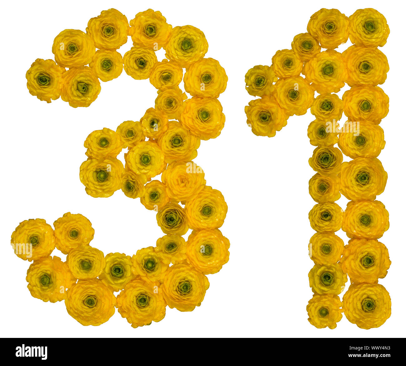 Arabic numeral 31, thirty one, from yellow flowers of buttercup ...