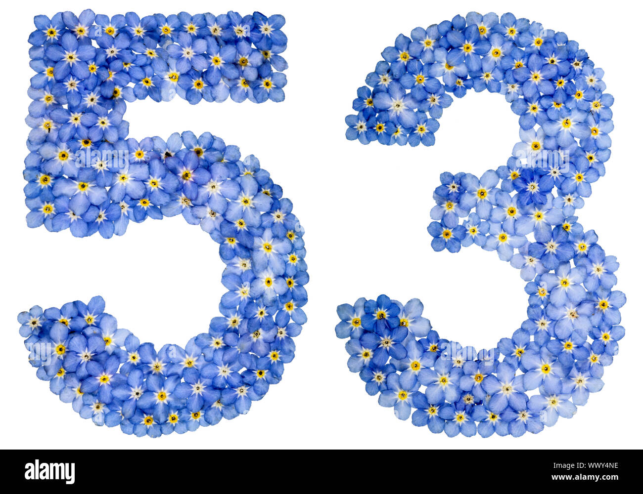 Arabic numeral 53, fifty three, from blue forget-me-not flowers Stock ...