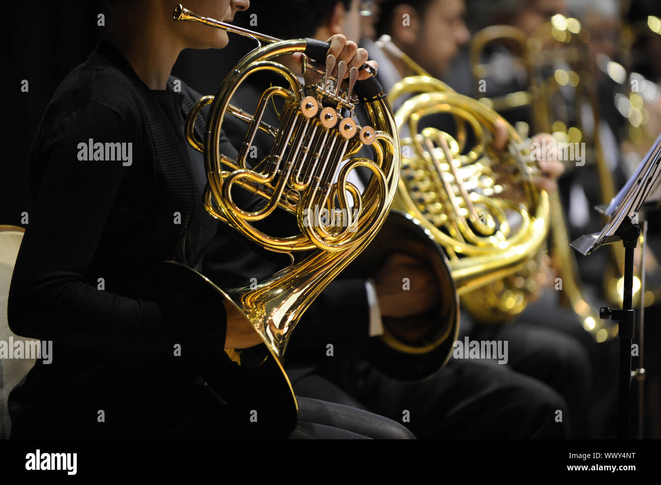french horn during a classical concert music Stock Photo - Alamy