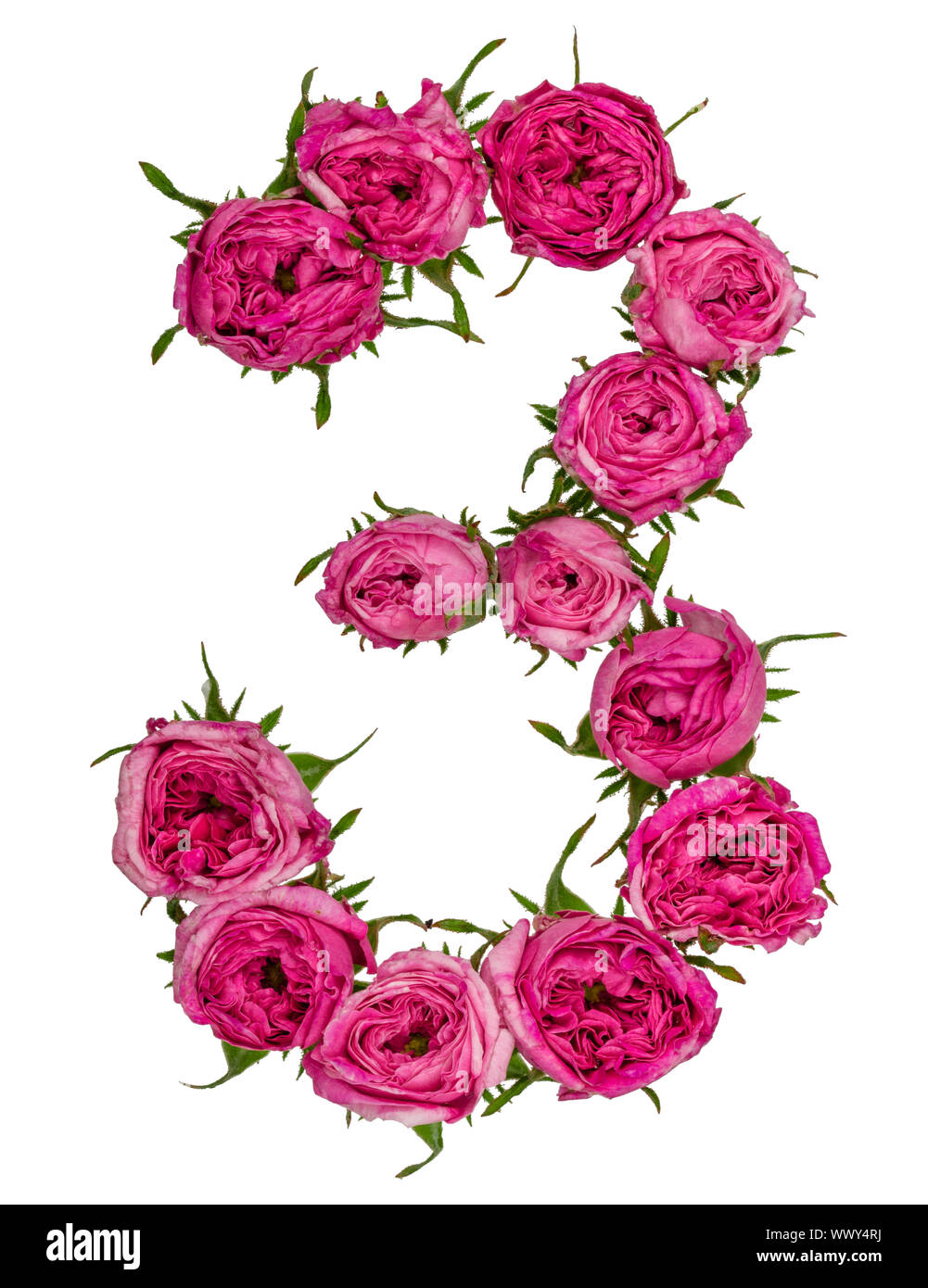 Arabic numeral 3, three, from red flowers of rose, isolated on white ...