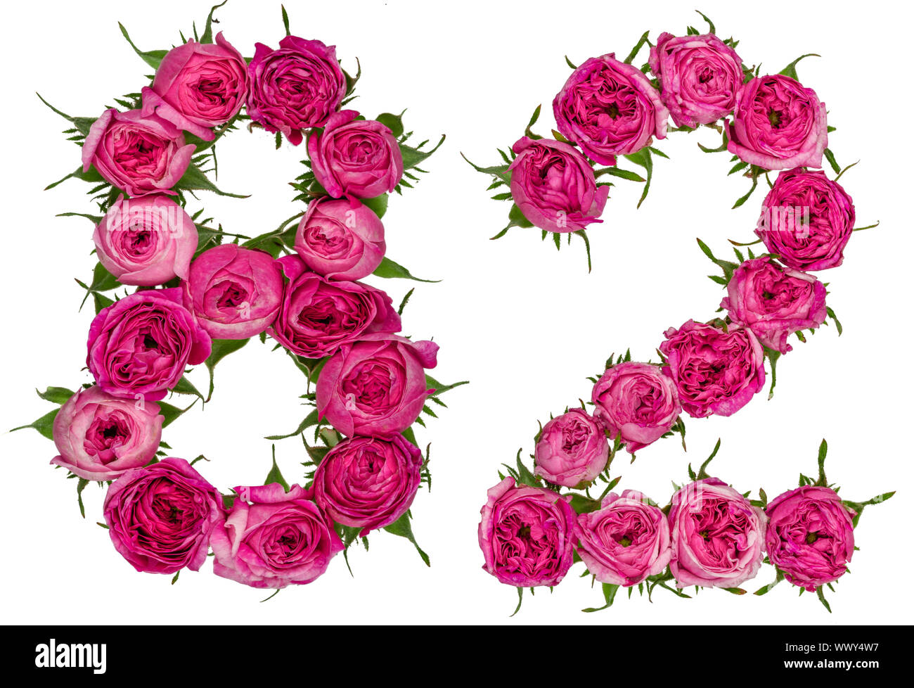 Arabic numeral 82, eighty two, from red flowers of rose, isolated on ...