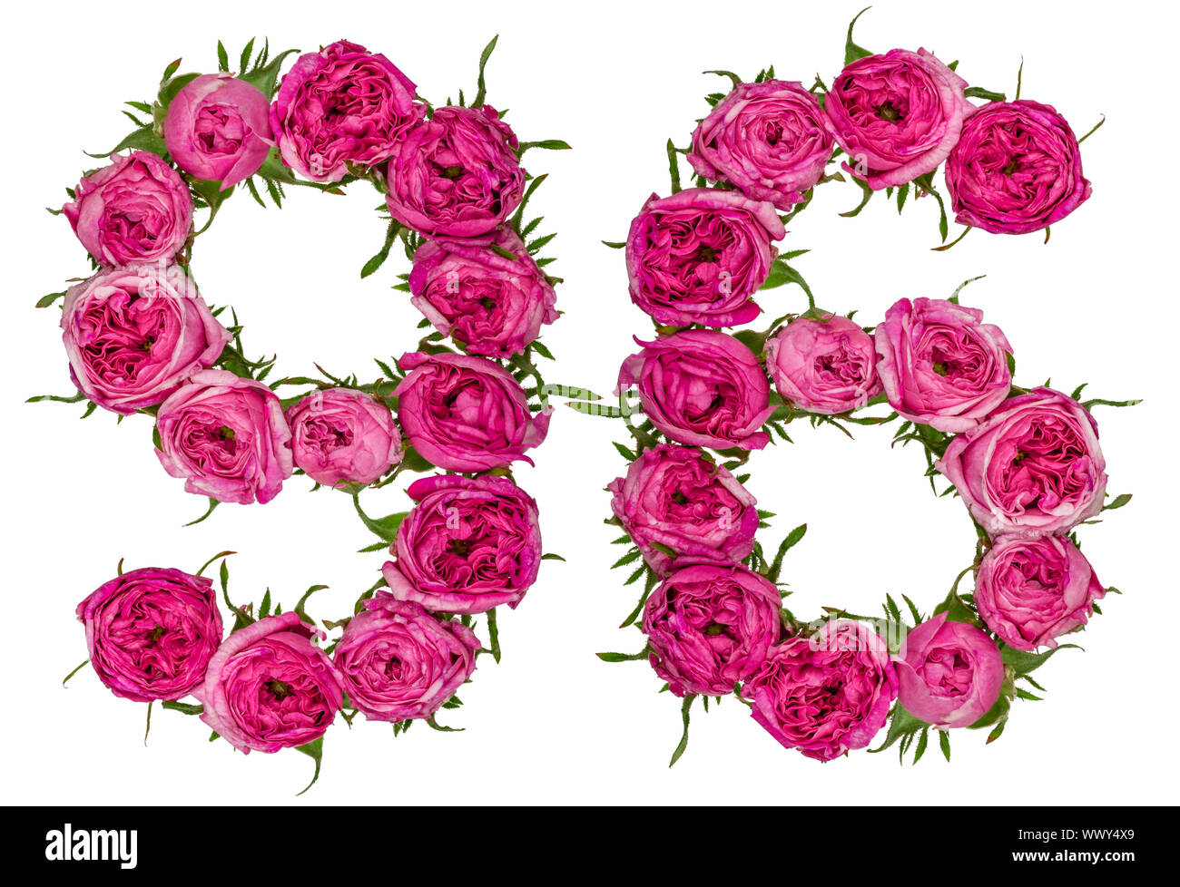 Arabic numeral 96, ninety six, from red flowers of rose, isolated on ...