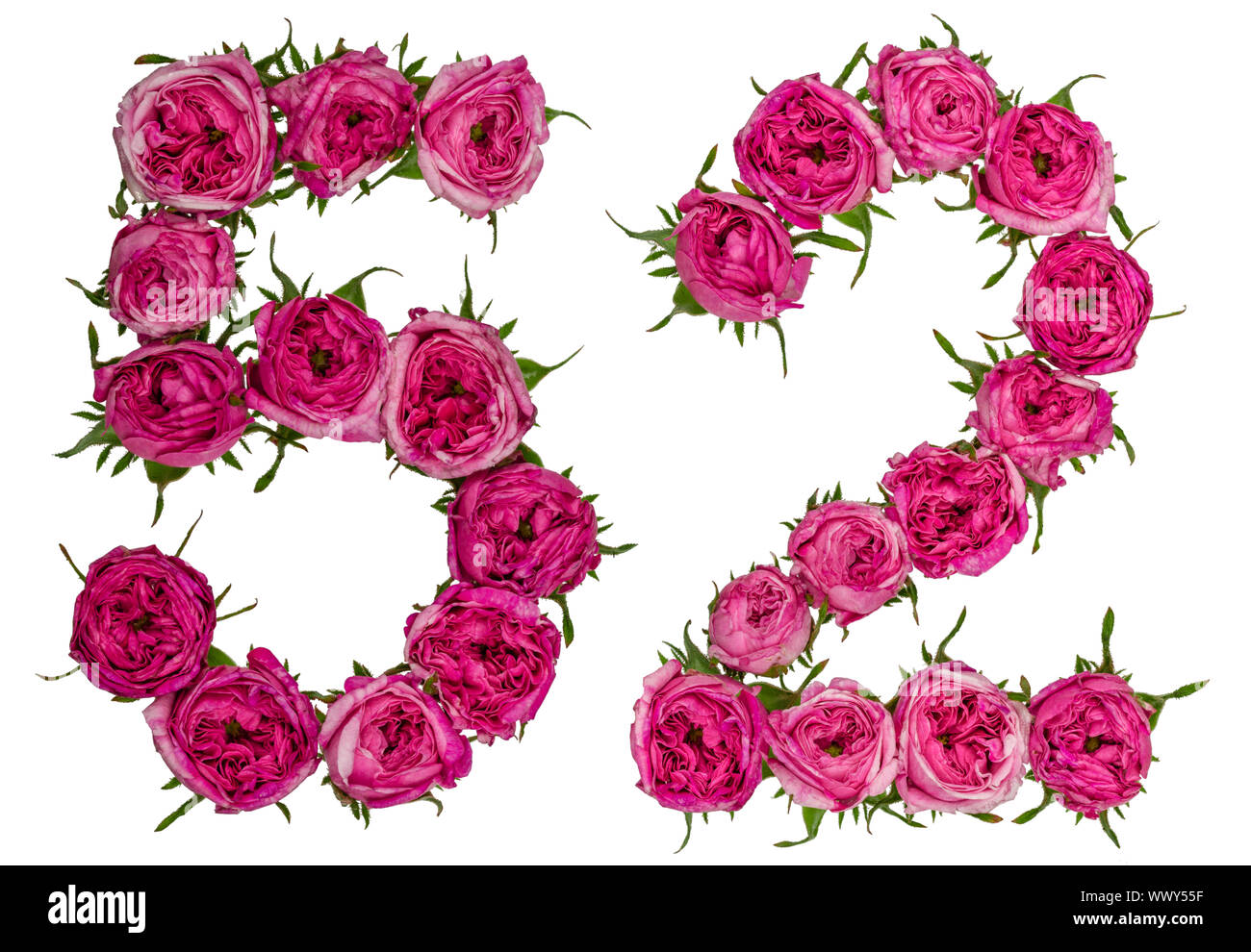 Arabic numeral 52, fifty two, from red flowers of rose, isolated on ...