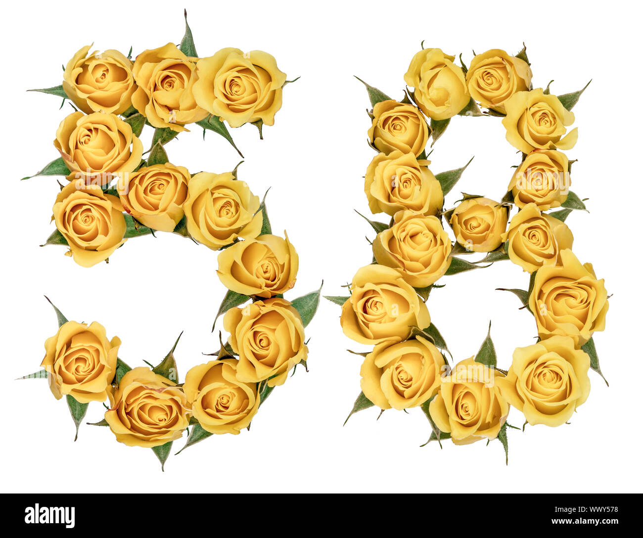 Arabic numeral 58, fifty eight, from yellow flowers of rose, isolated ...