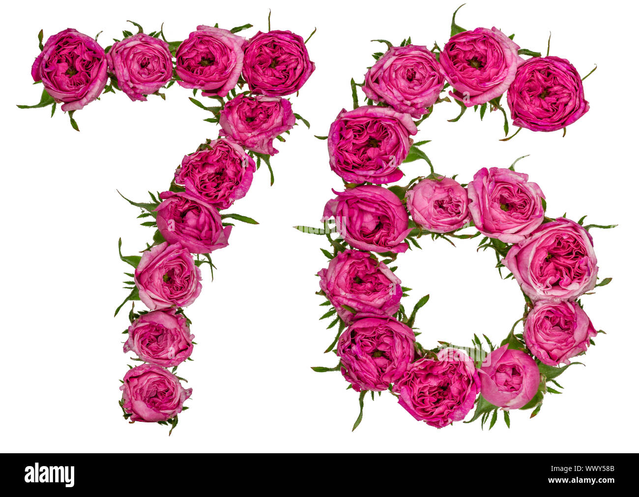 Arabic numeral 76, seventy six, from red flowers of rose, isolated on ...