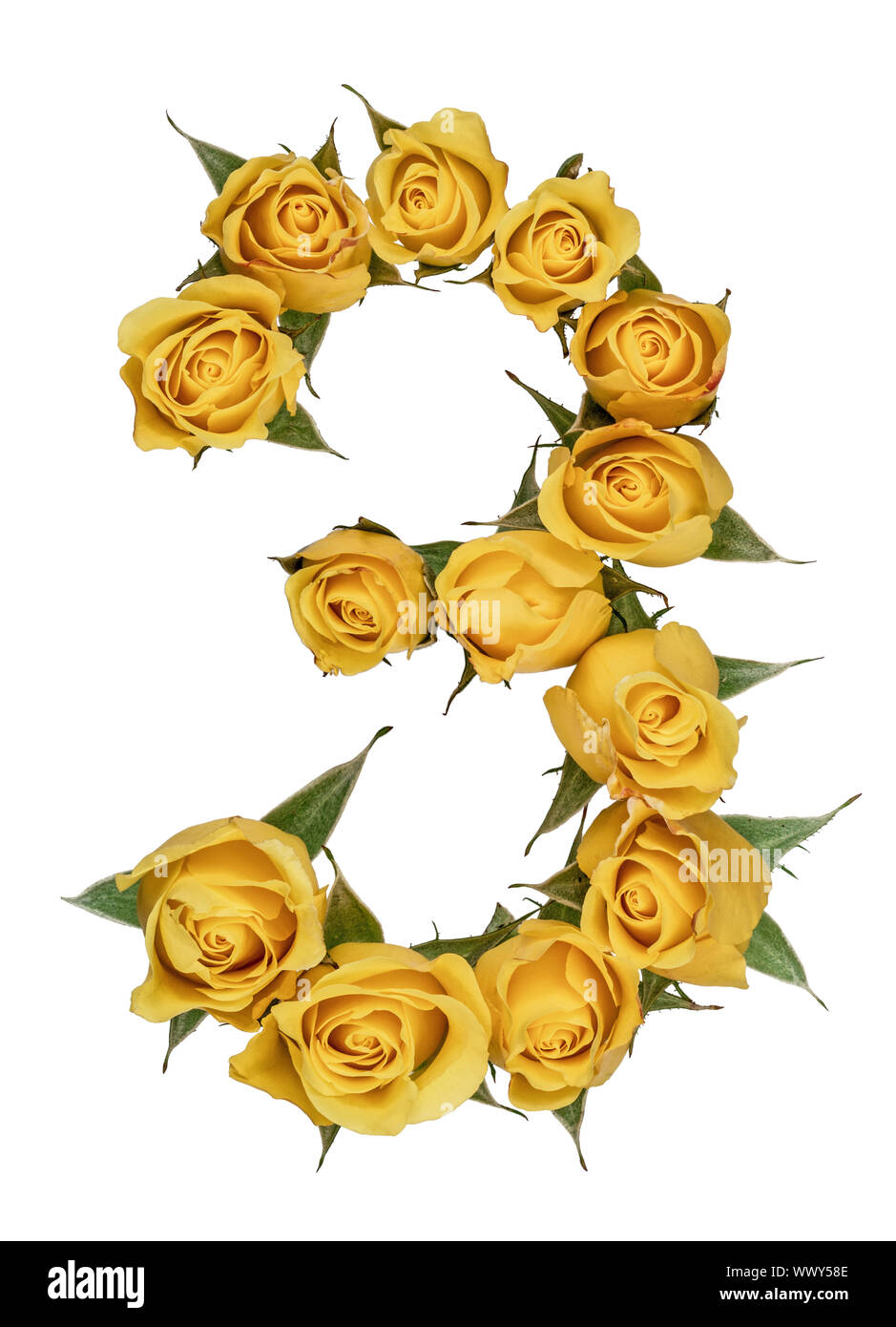 Arabic numeral 3, three, from yellow flowers of rose, isolated on white ...