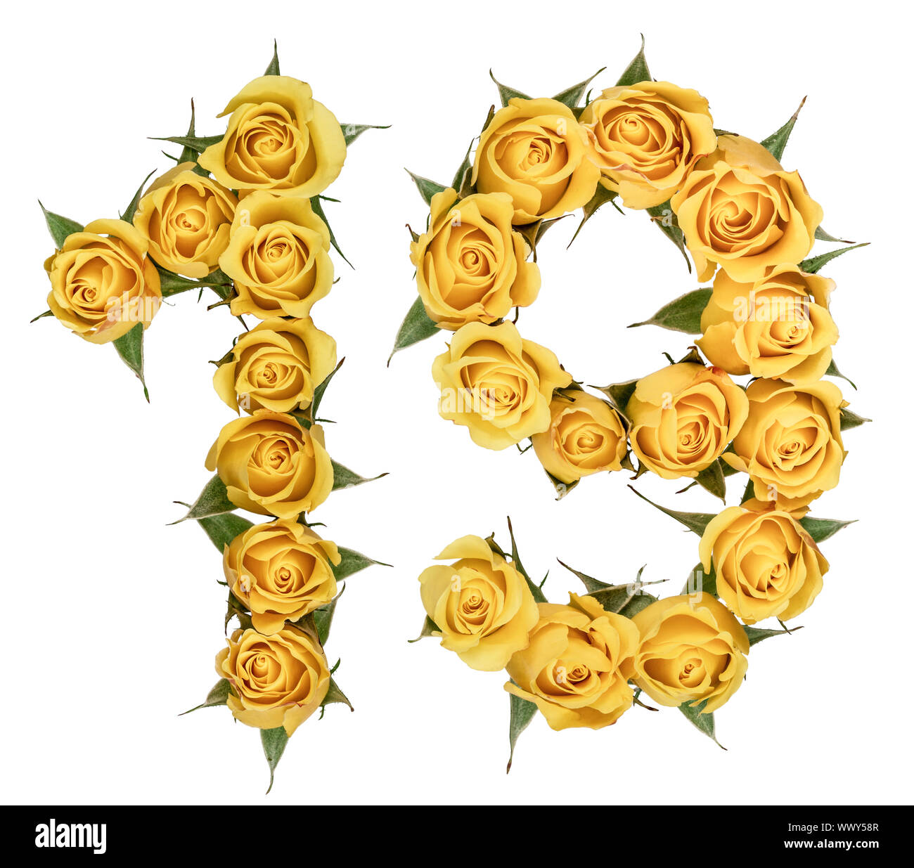 Arabic numeral 19, nineteen, from yellow flowers of rose, isolated on ...