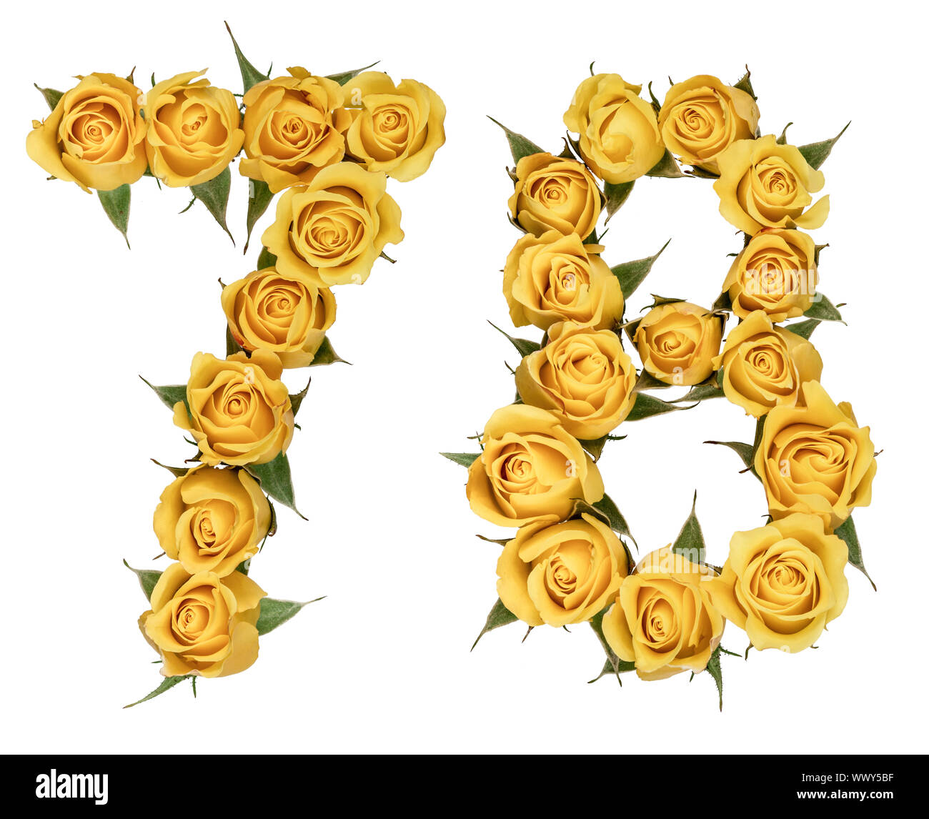 Arabic numeral 78, seventy eight, from yellow flowers of rose, isolated ...