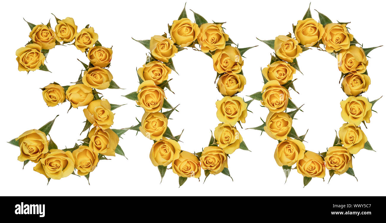 Arabic numeral 300, three hundred, from yellow flowers of rose ...