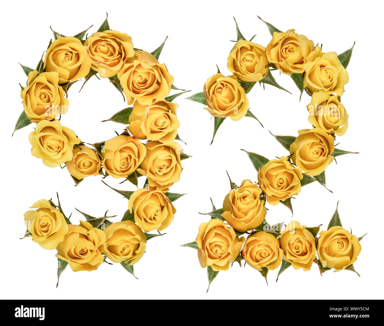 Arabic numeral 92, ninety two, from yellow flowers of rose, isolated on ...