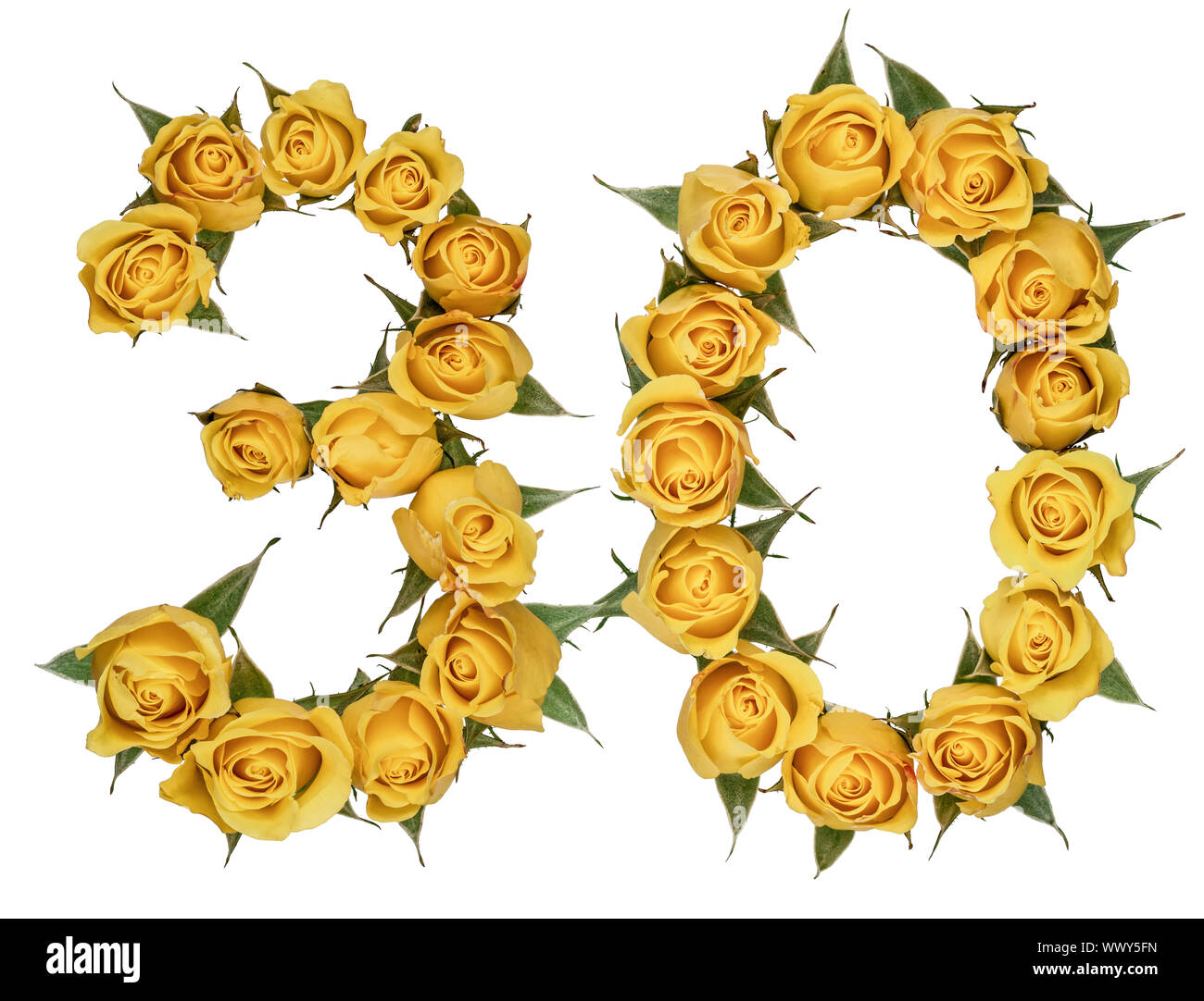 Arabic numeral 30, thirty, from yellow flowers of rose, isolated on ...