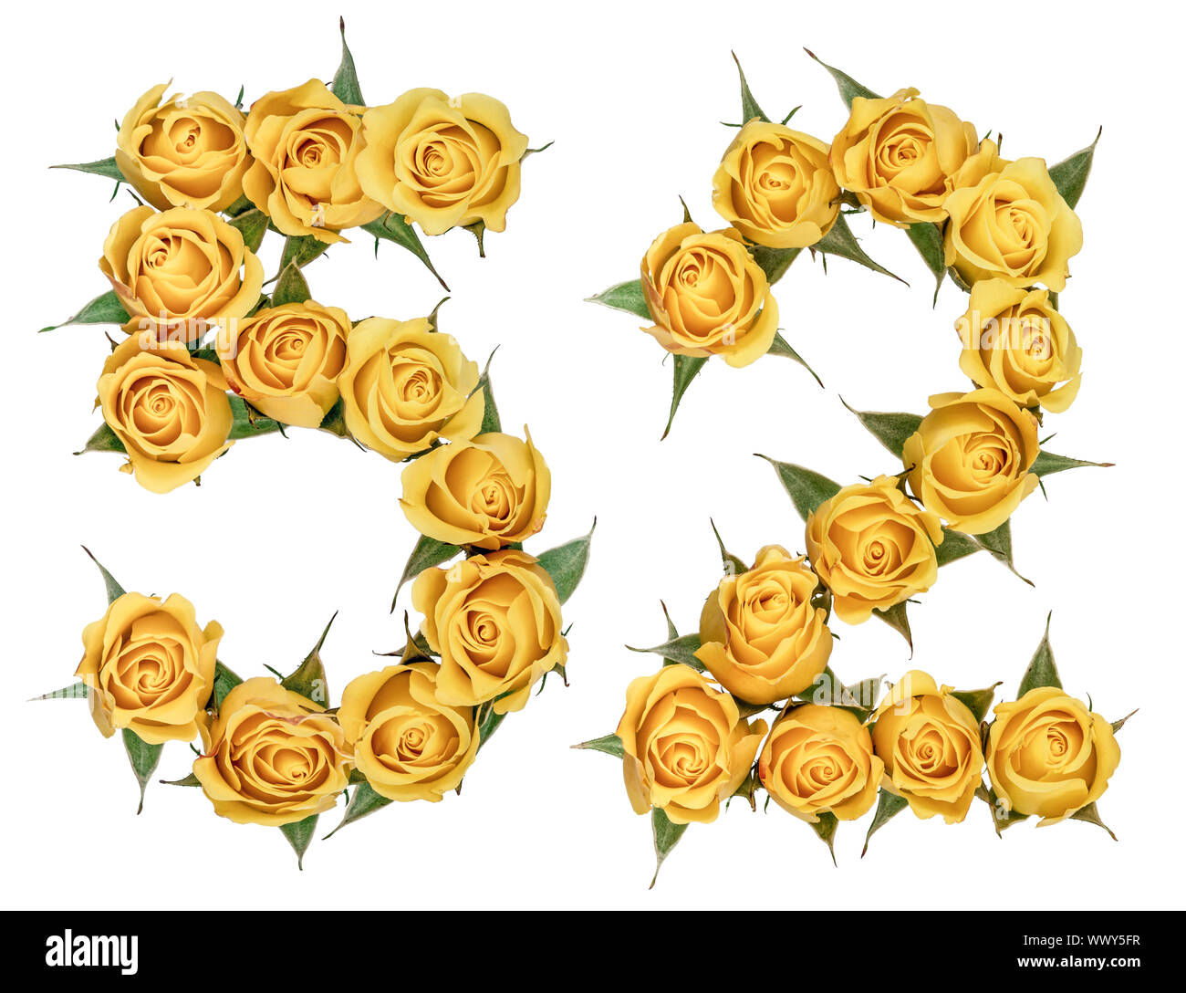 Arabic numeral 52, fifty two, from yellow flowers of rose, isolated on ...