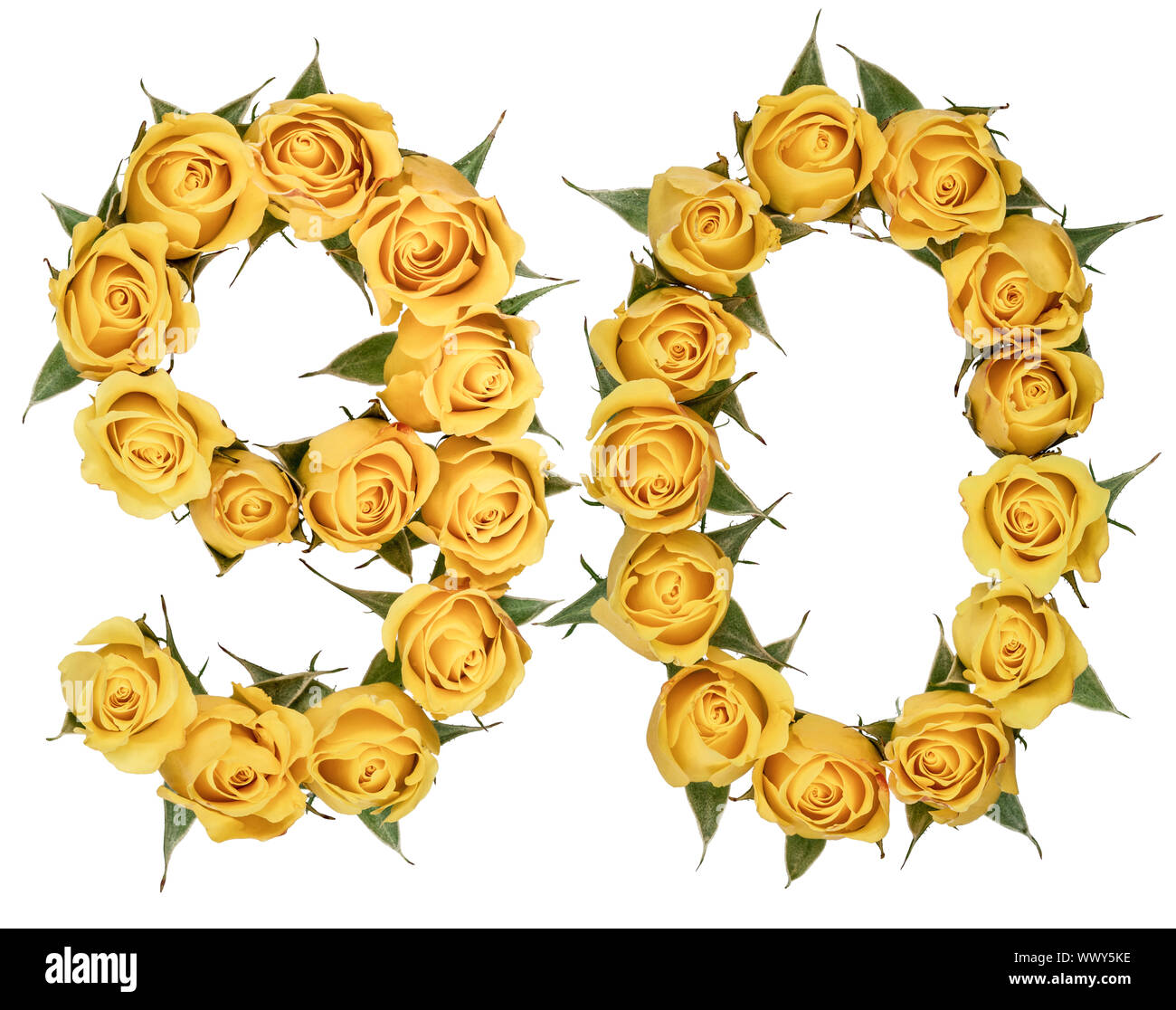 Arabic numeral 90, ninety, from yellow flowers of rose, isolated on ...