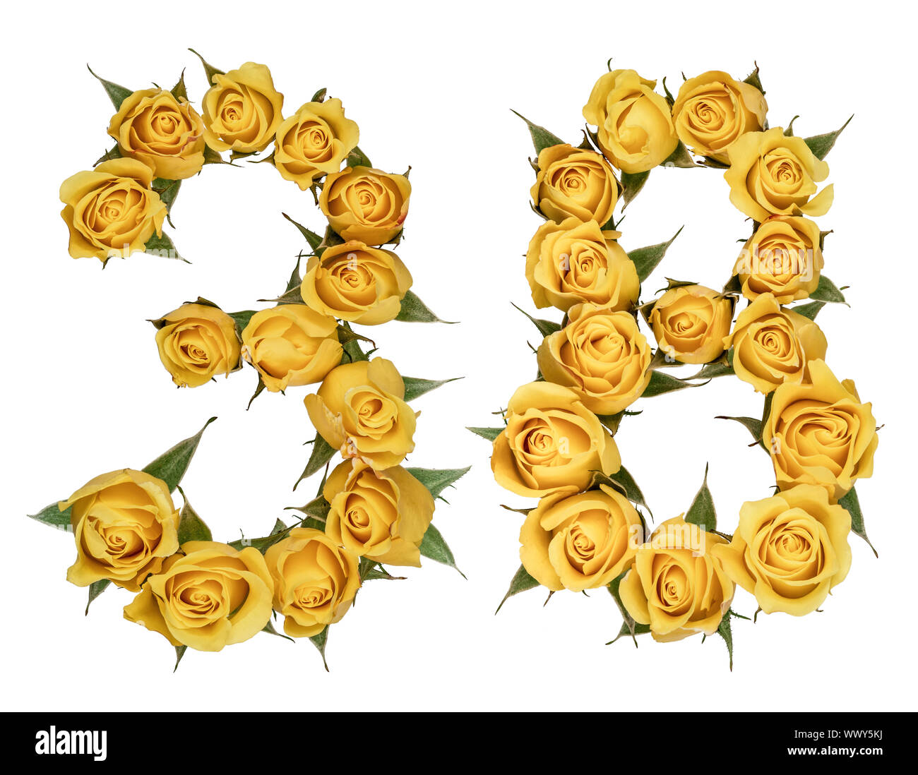 Arabic numeral 38, thirty eight, from yellow flowers of rose, isolated ...