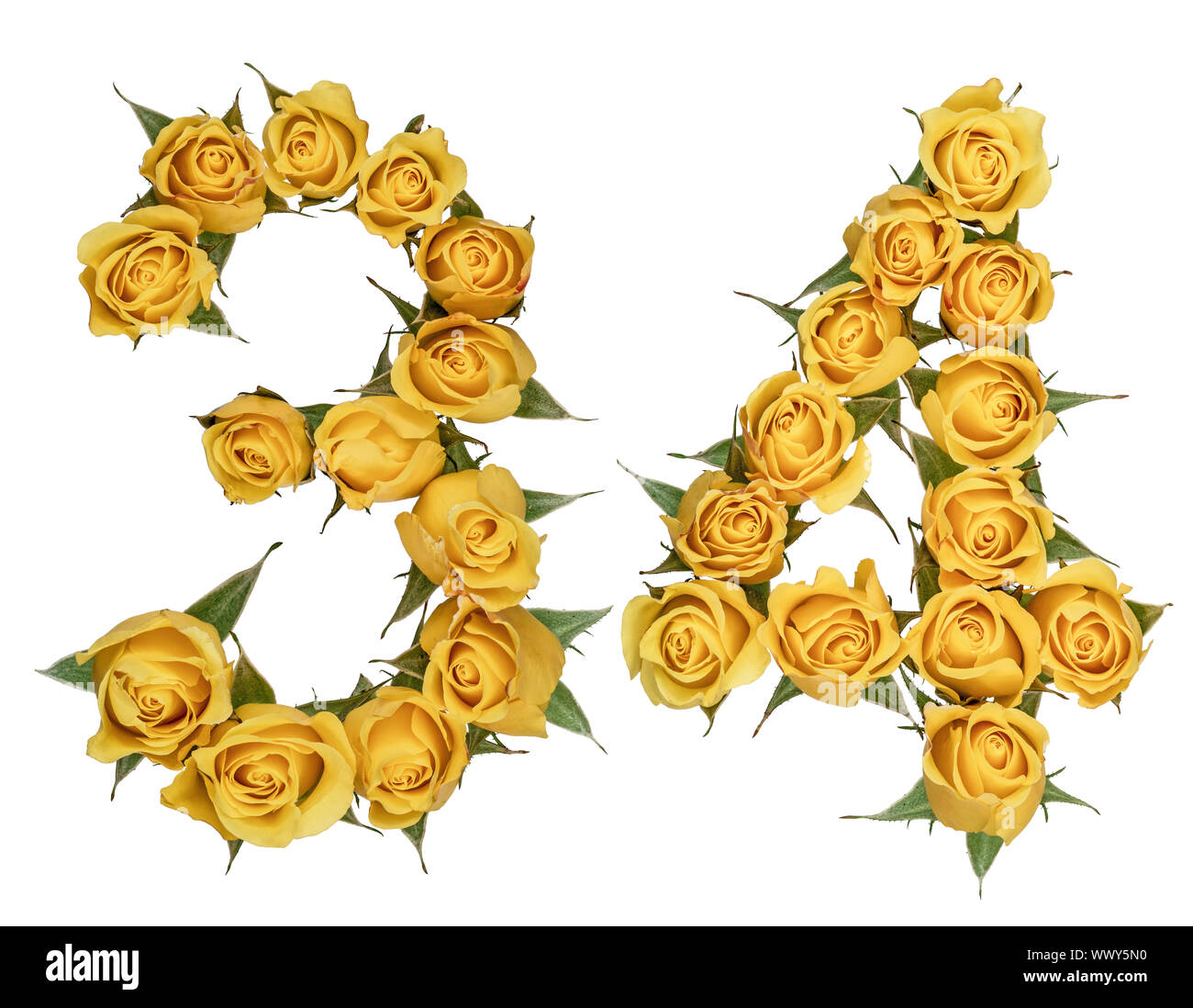 Arabic numeral 34, thirty four, from yellow flowers of rose, isolated ...