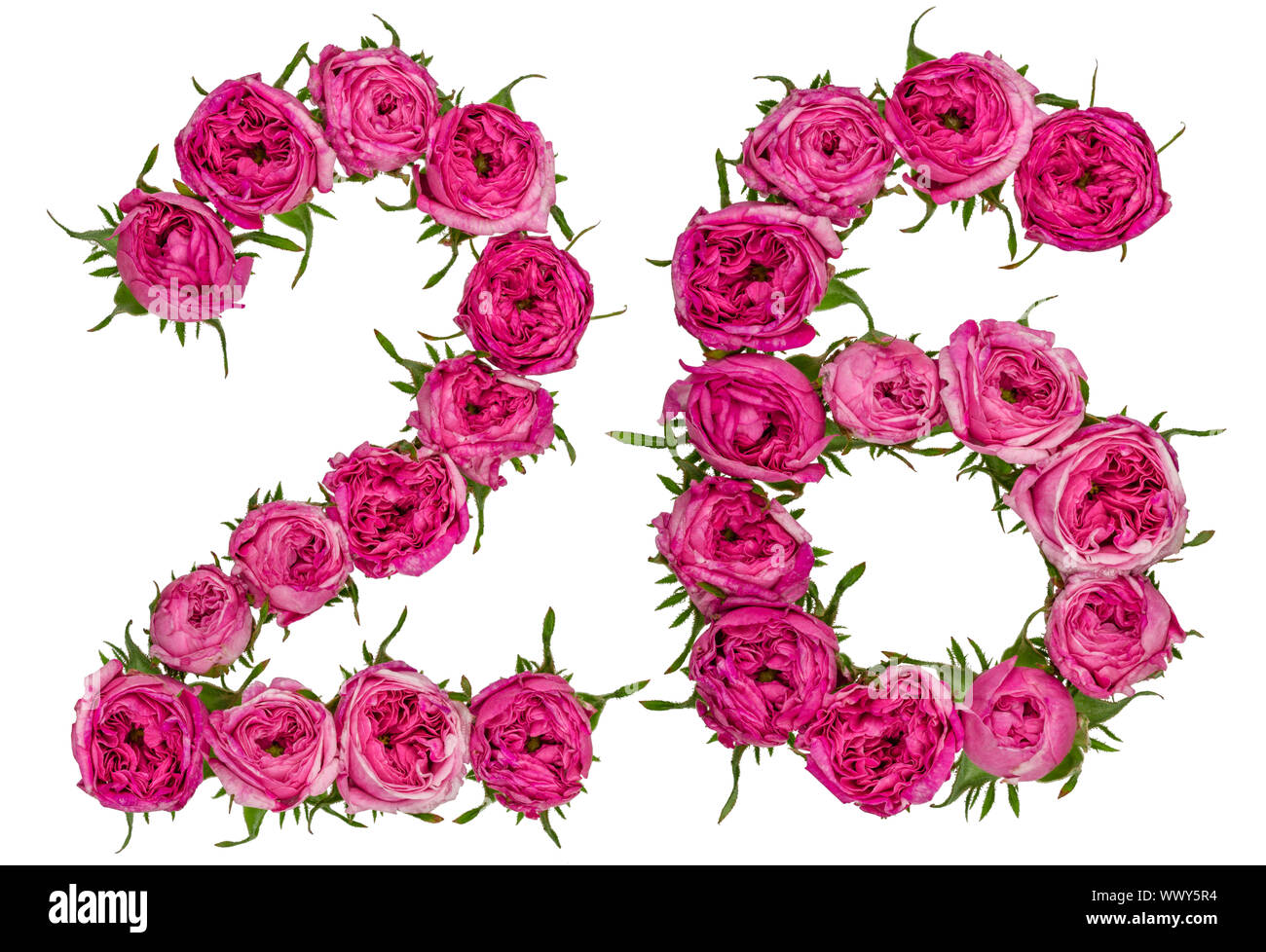 Arabic numeral 26, twenty six, from red flowers of rose, isolated on ...