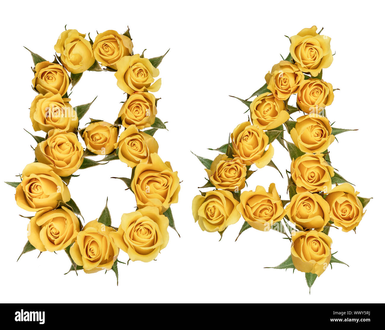 Arabic numeral 84, eighty four, from yellow flowers of rose, isolated ...