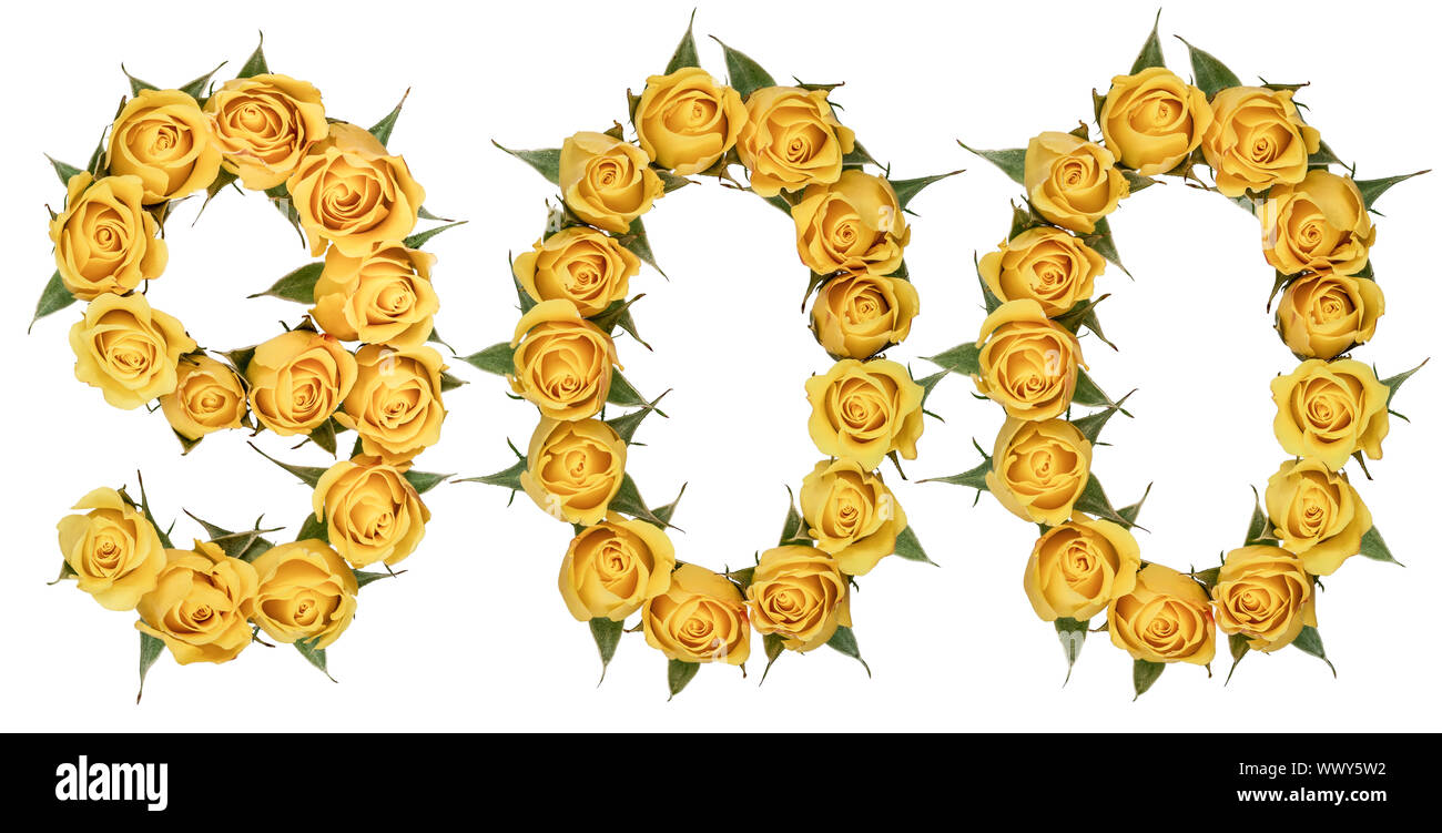 Arabic numeral 900, nine hundred, from yellow flowers of rose, isolated ...