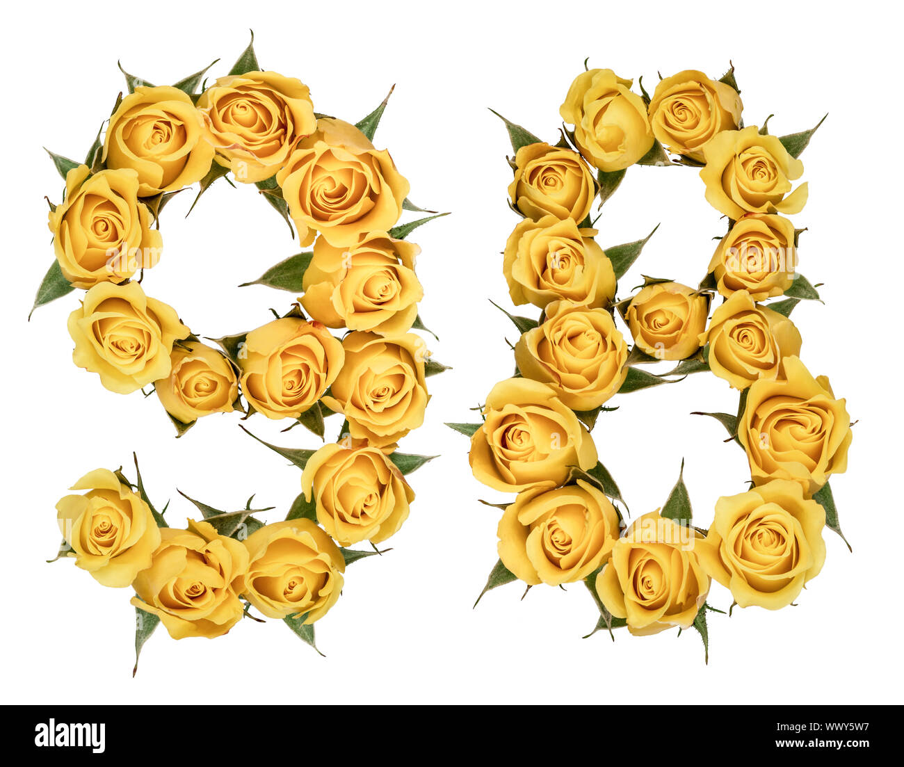 Arabic numeral 98, ninety eight, from yellow flowers of rose, isolated ...